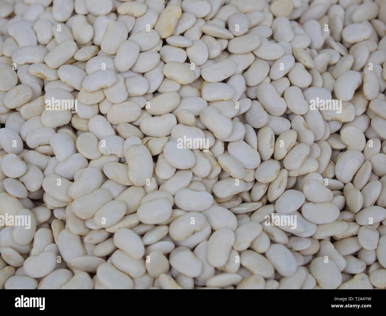 haricot bean background shooting. top view organic food. Raw legume ...