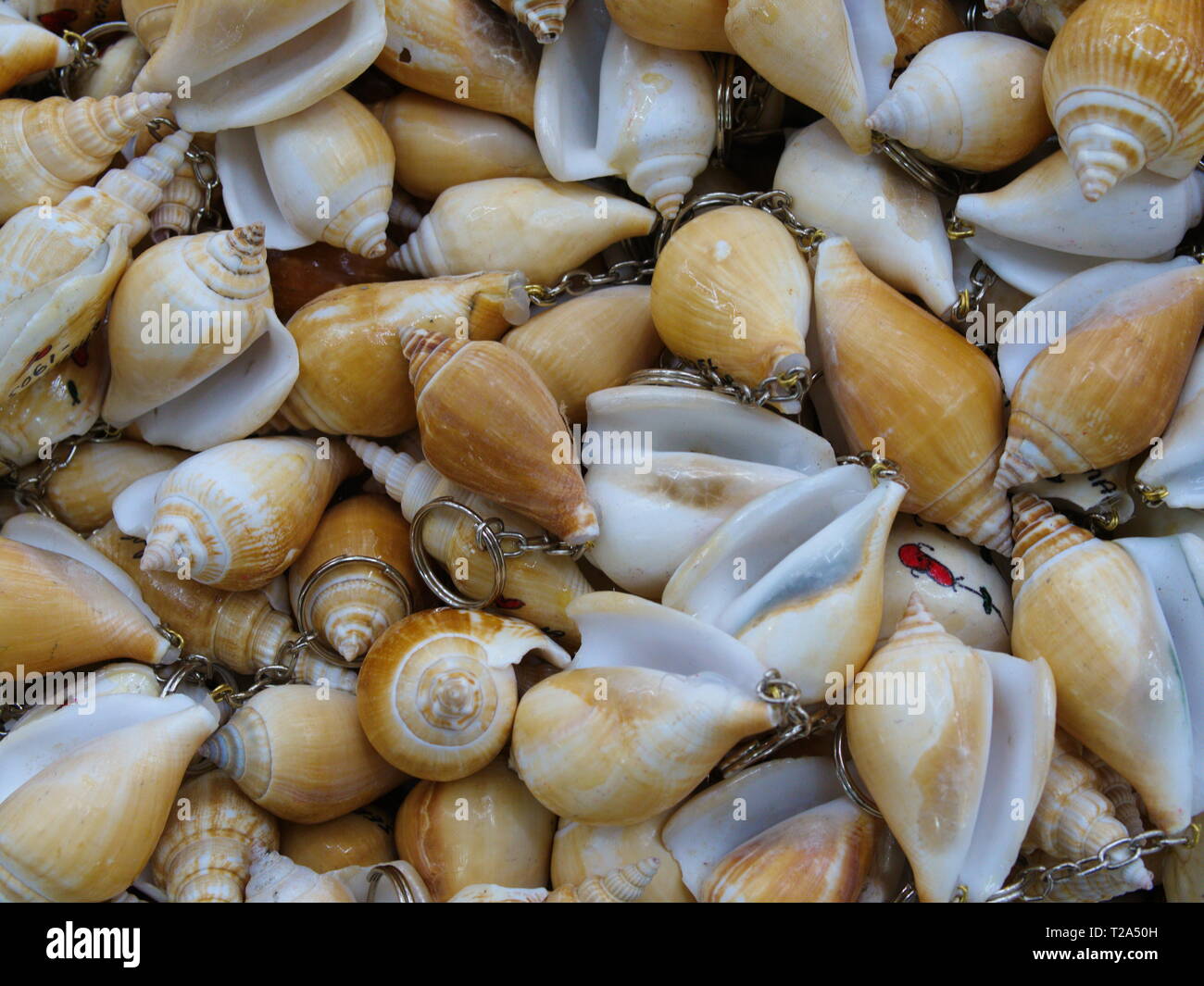 key chains made of clam shells Stock Photo - Alamy
