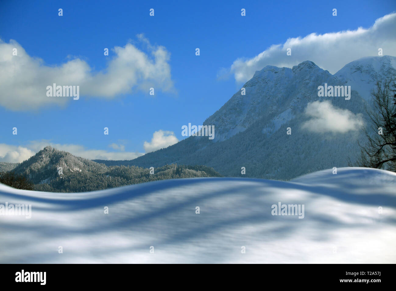 snow land in austria Stock Photo - Alamy