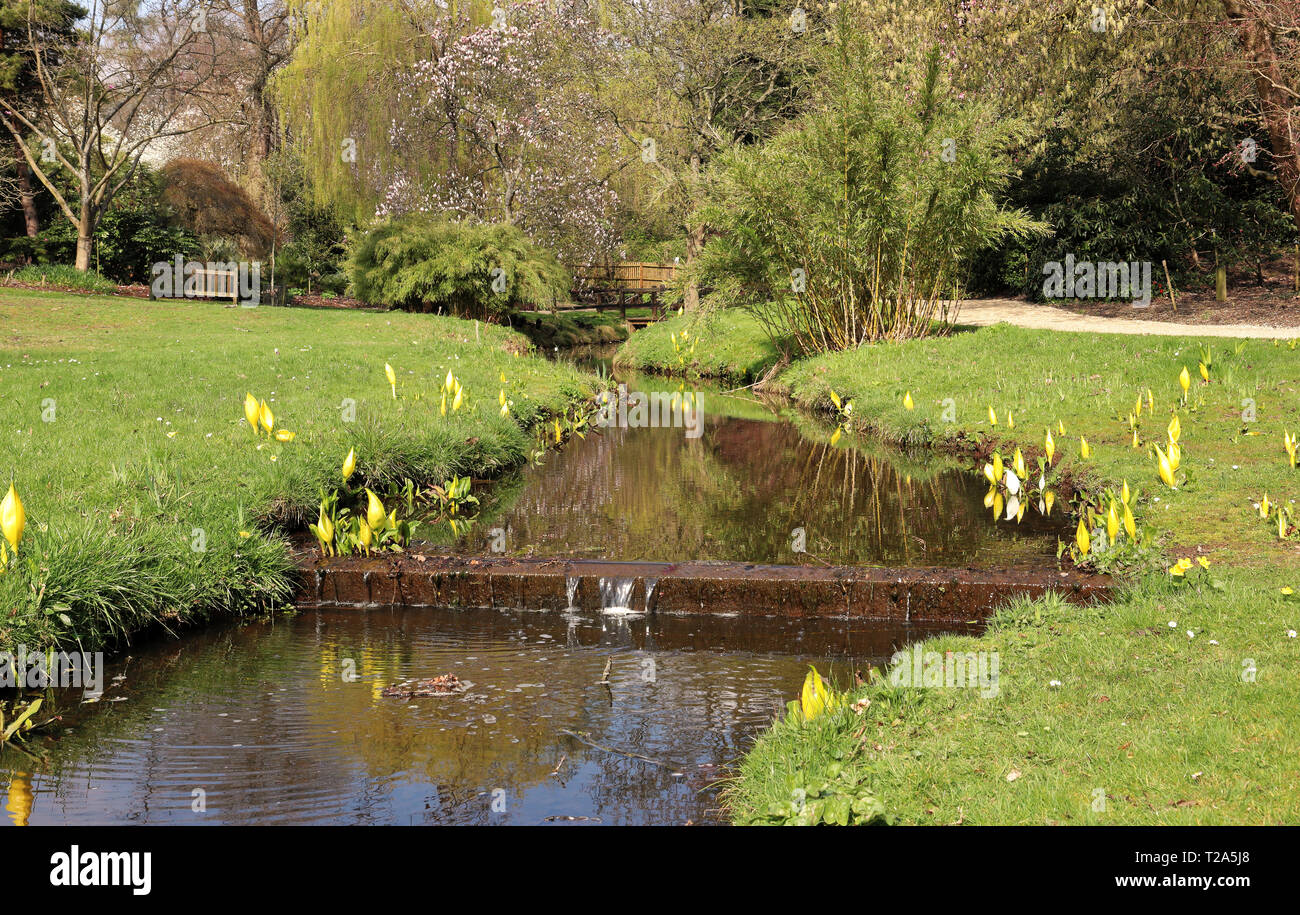 English garden in spring hi-res stock photography and images - Alamy