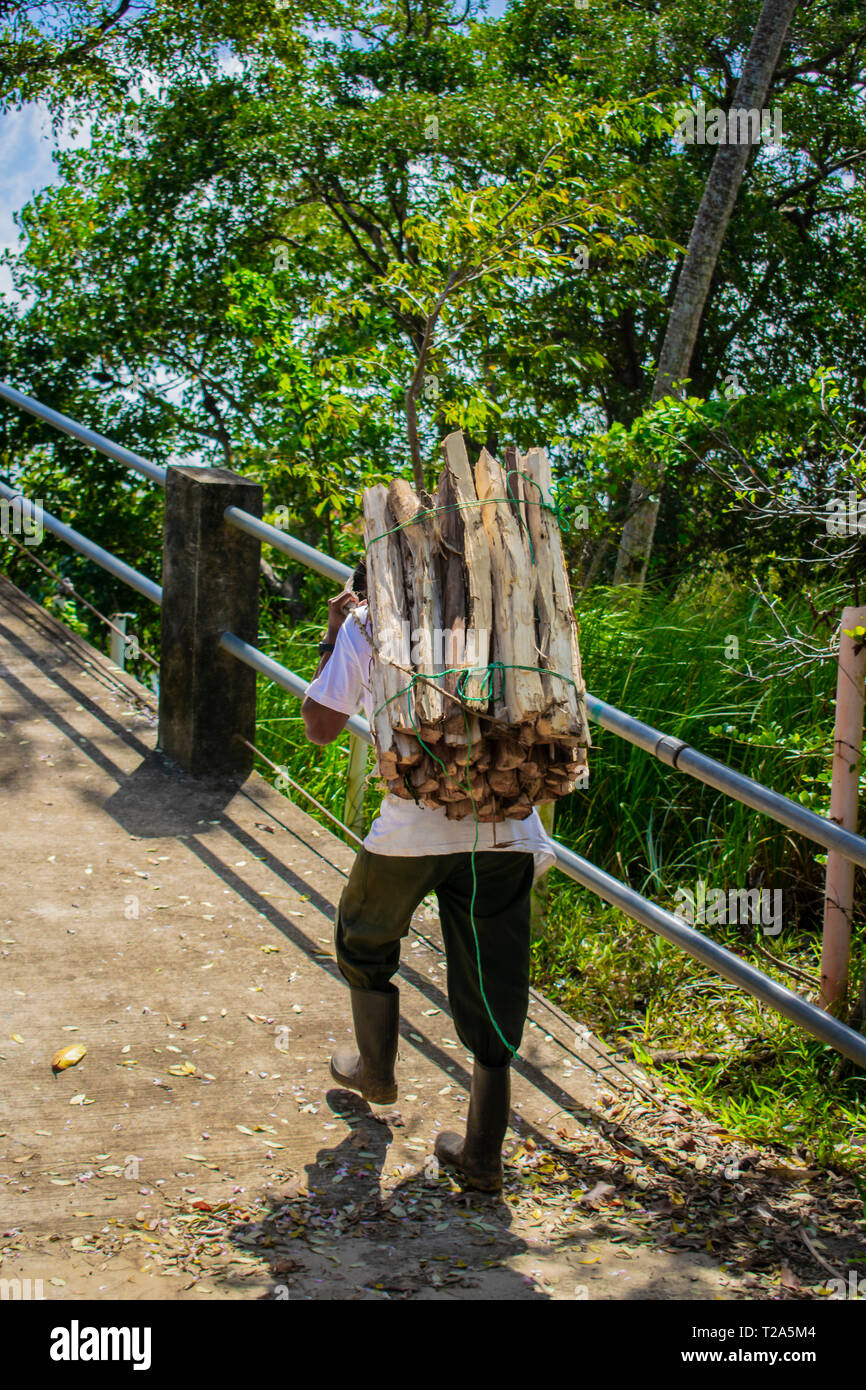 Hojas sobre madera hi-res stock photography and images - Alamy