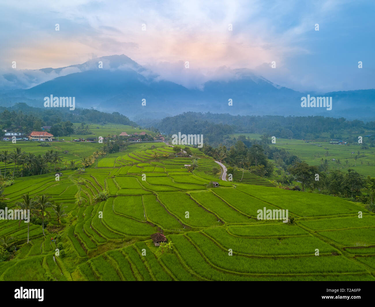 Bali rice fields aerial hi-res stock photography and images - Alamy