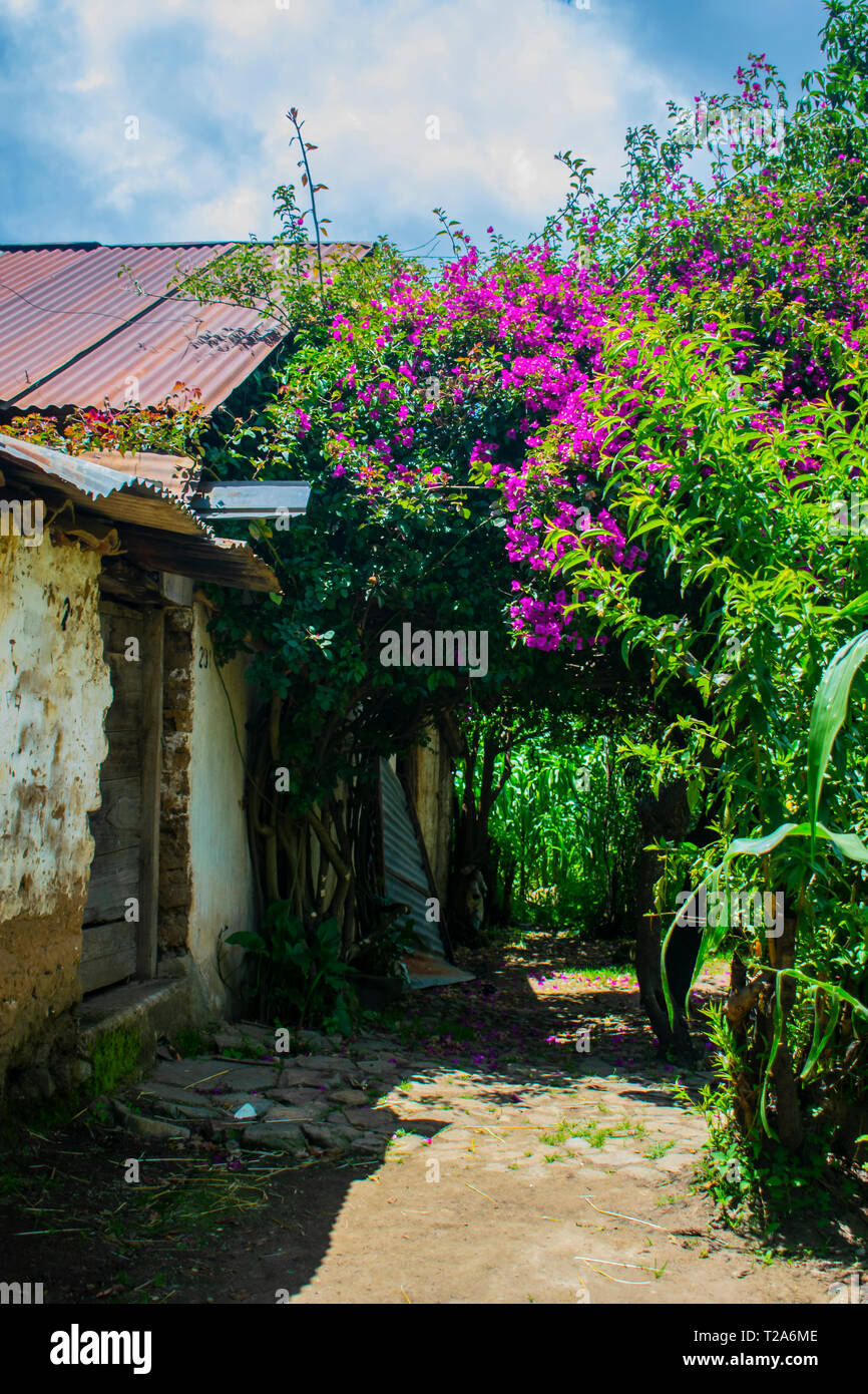 Estructura de techo hi-res stock photography and images - Alamy