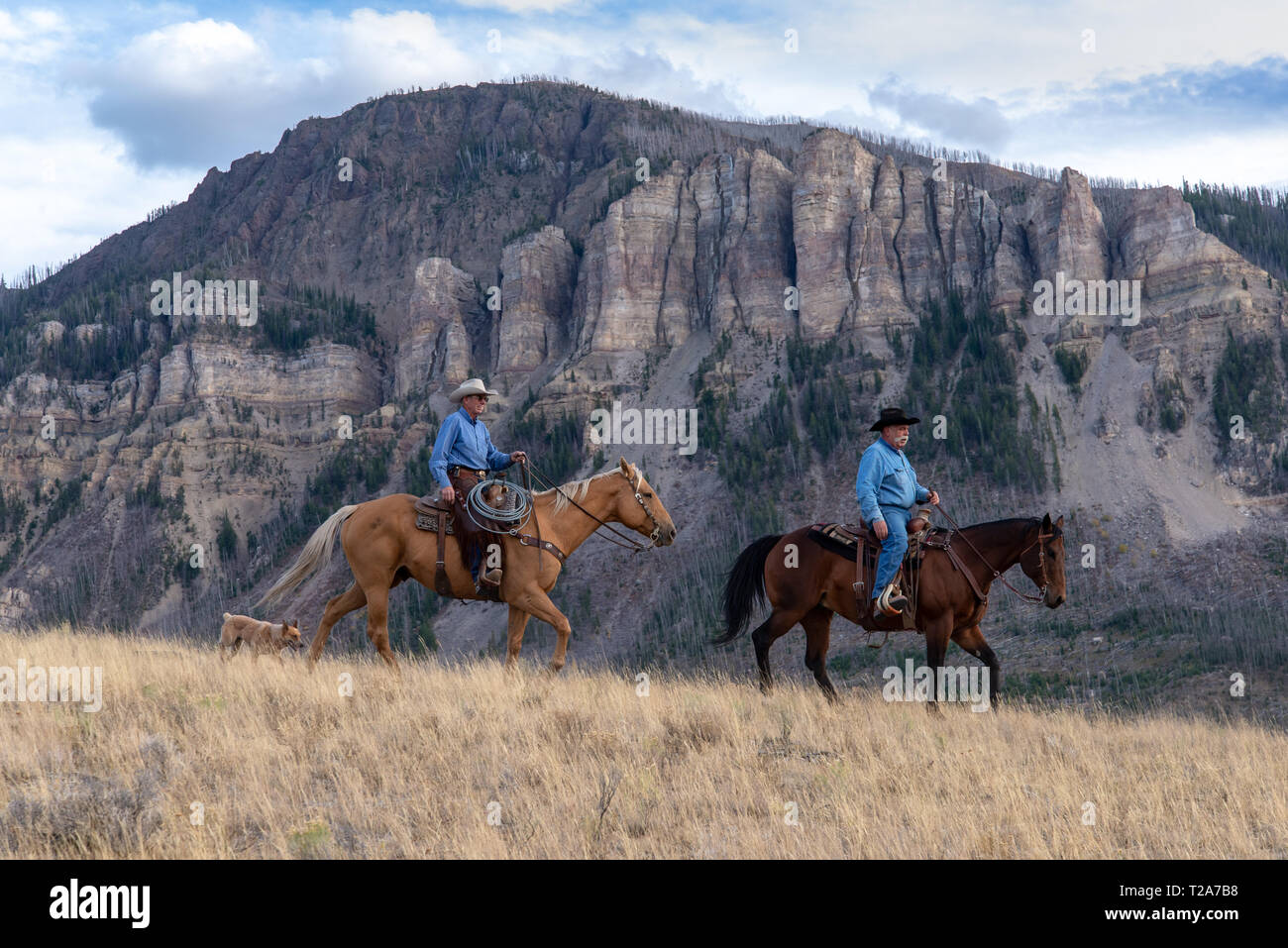 Slicker cowboy hi-res stock photography and images - Alamy