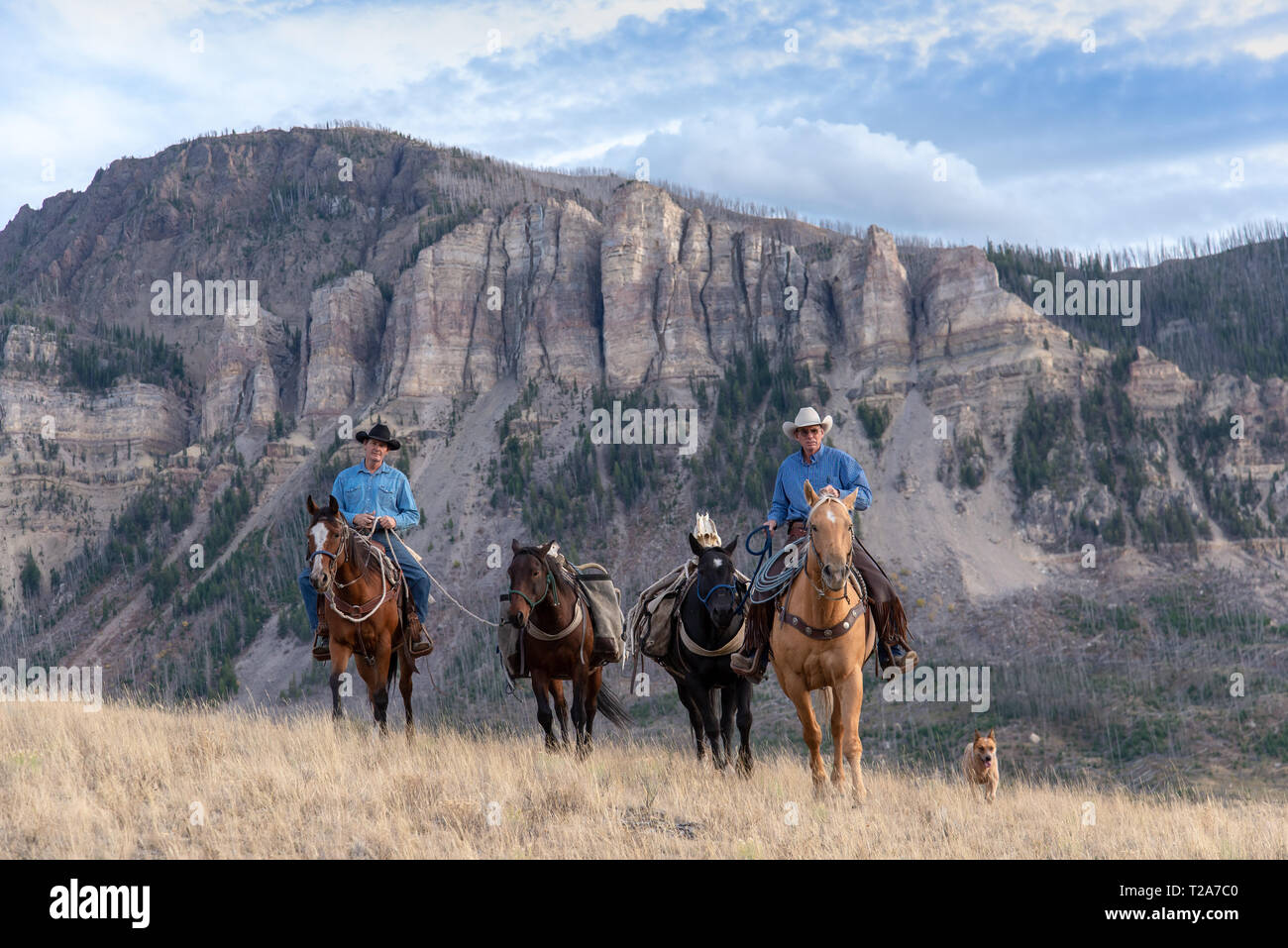 Slicker cowboy hi-res stock photography and images - Alamy