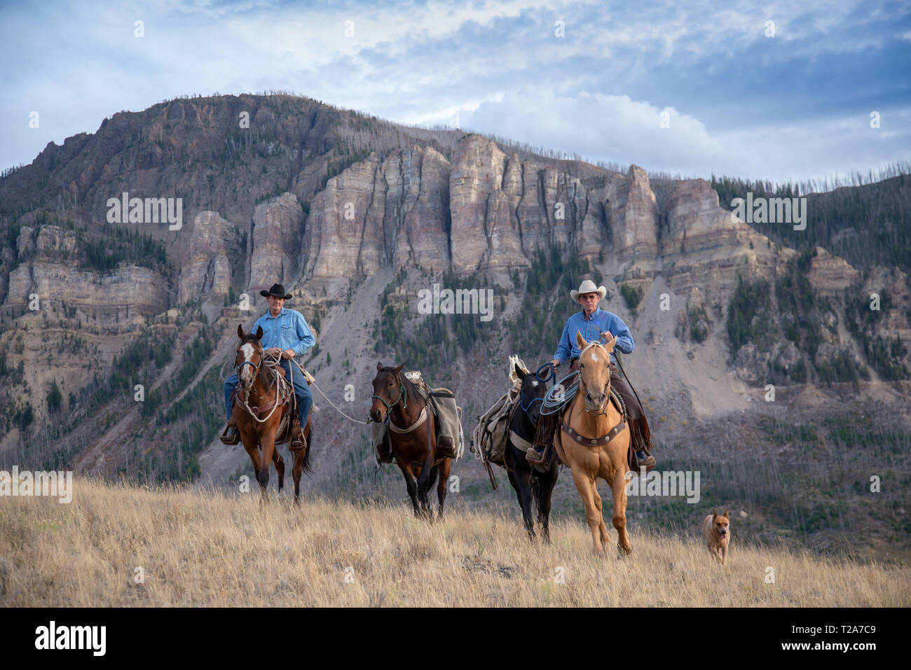 Slicker cowboy hi-res stock photography and images - Alamy