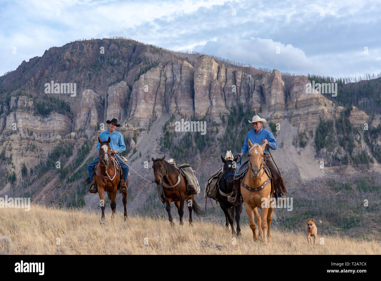 Slicker cowboy hi-res stock photography and images - Alamy