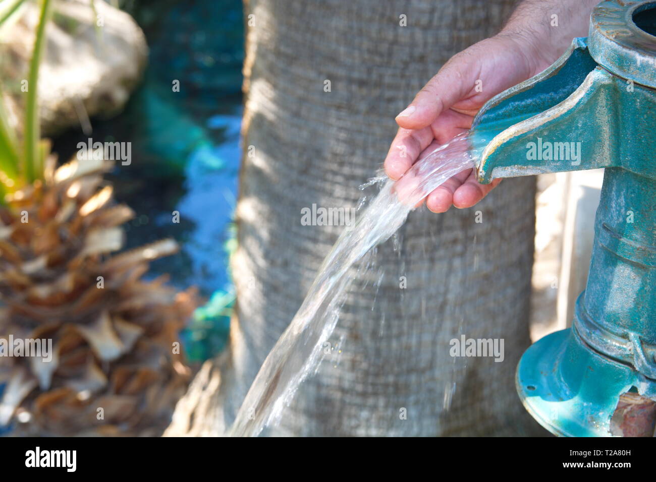 drinking water from the force pump. natural spring water Stock Photo ...
