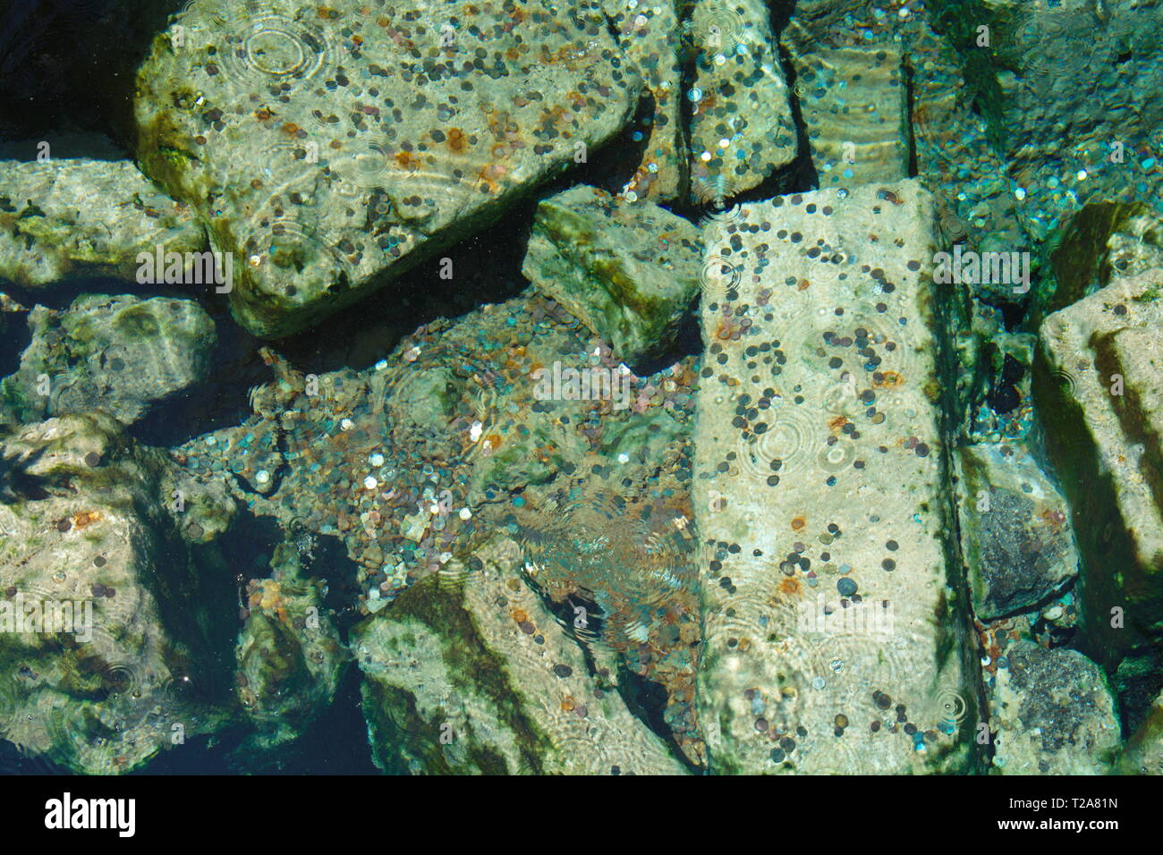 wish pool. people threw coins into the pool to make their wishes come ...