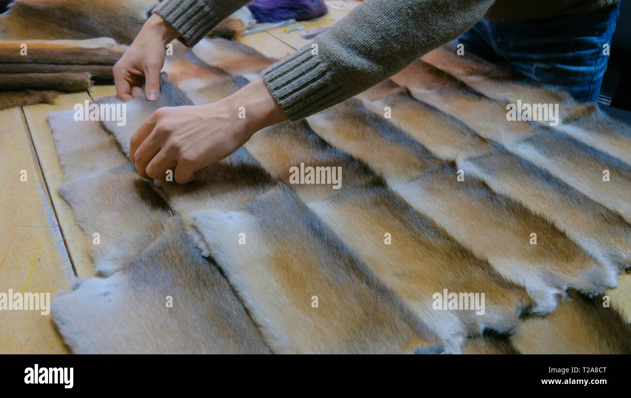 Skinner working with mink fur skin Stock Photo - Alamy