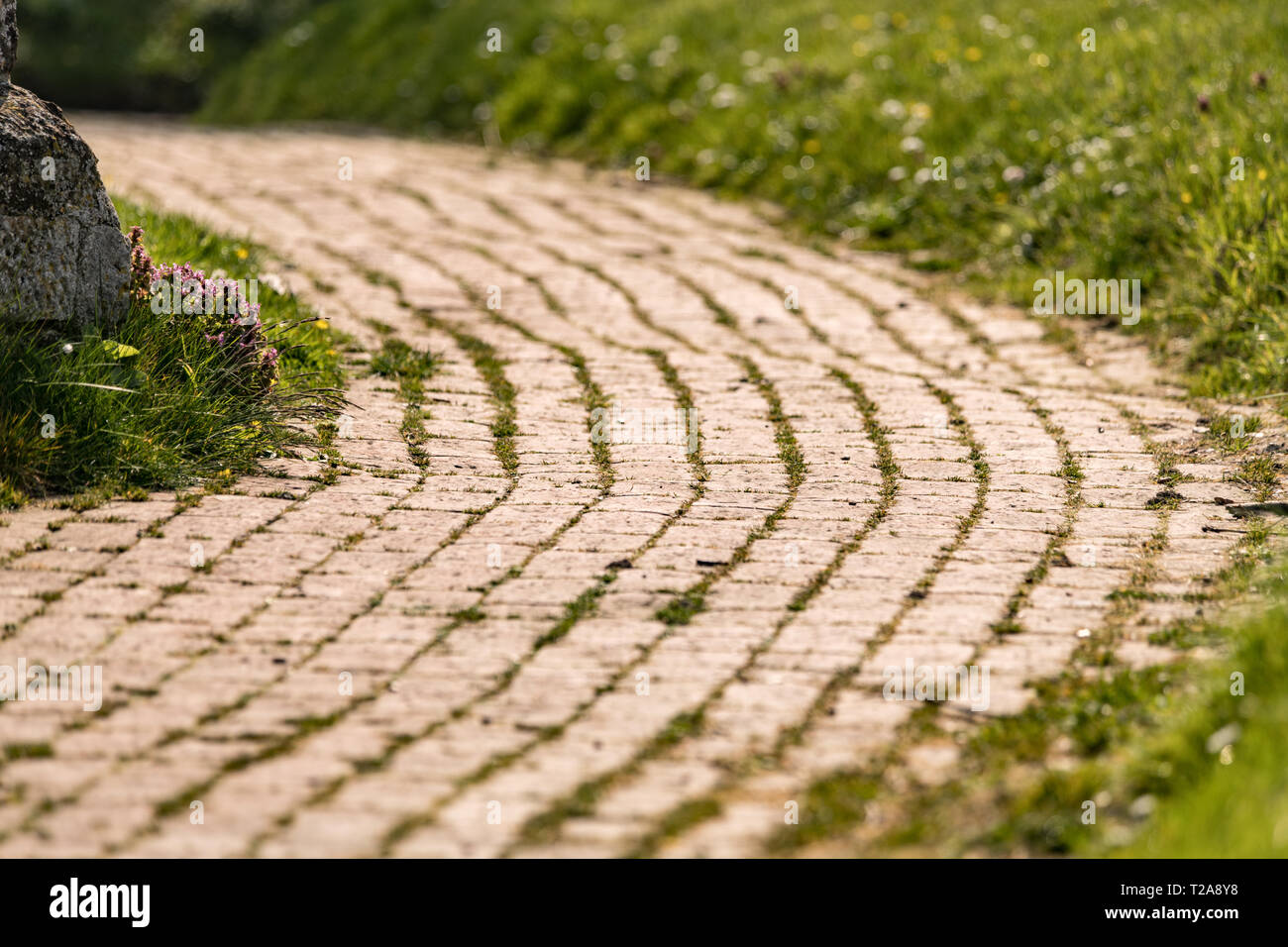 Curved brick walkway hi-res stock photography and images - Alamy