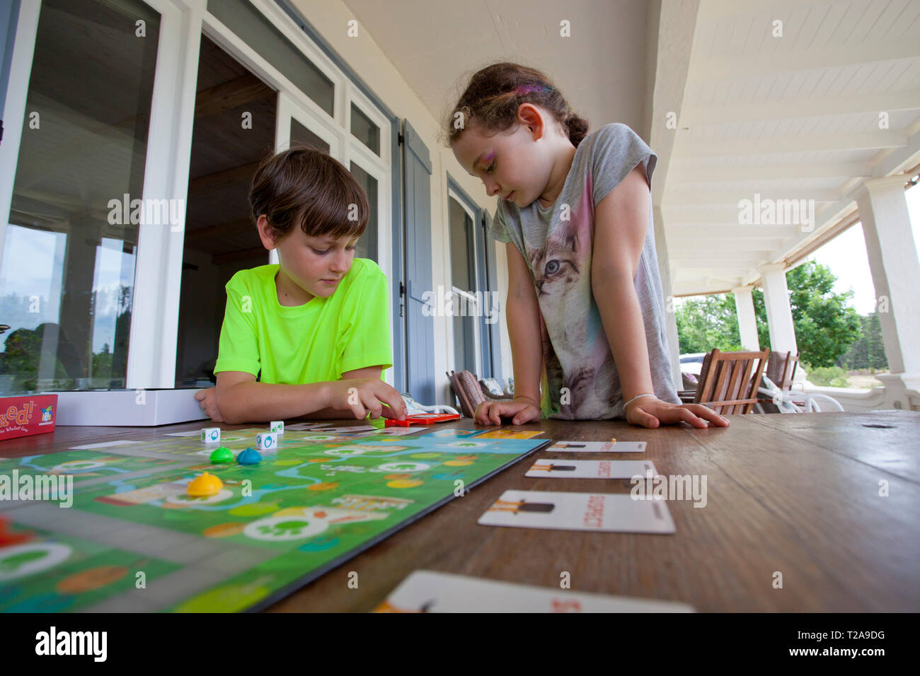 Outfoxed board game Stock Photo - Alamy