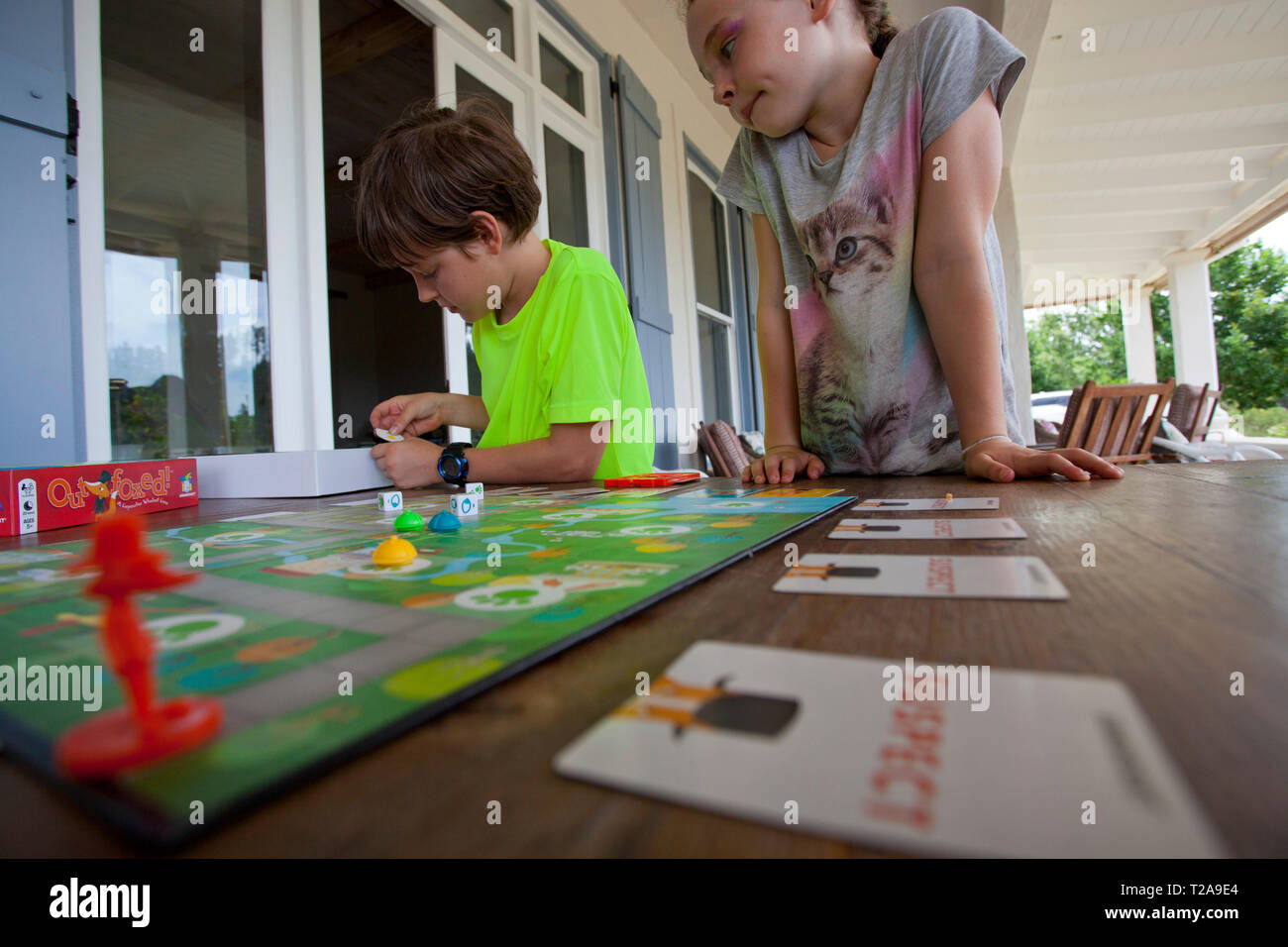 Outfoxed board game Stock Photo - Alamy
