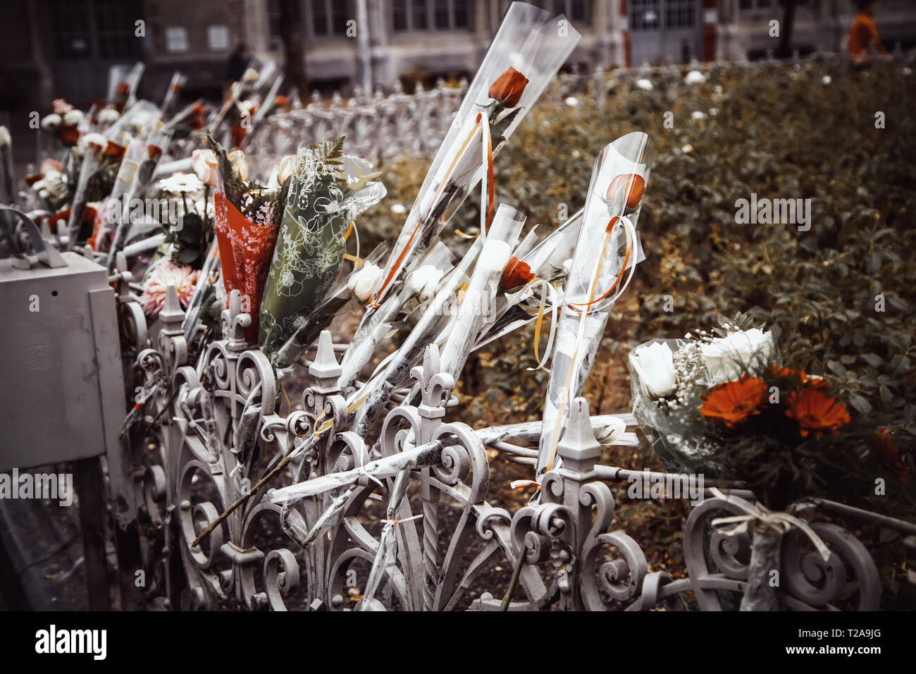 Flowers for homage, detail of grief and sadness, death Stock Photo - Alamy