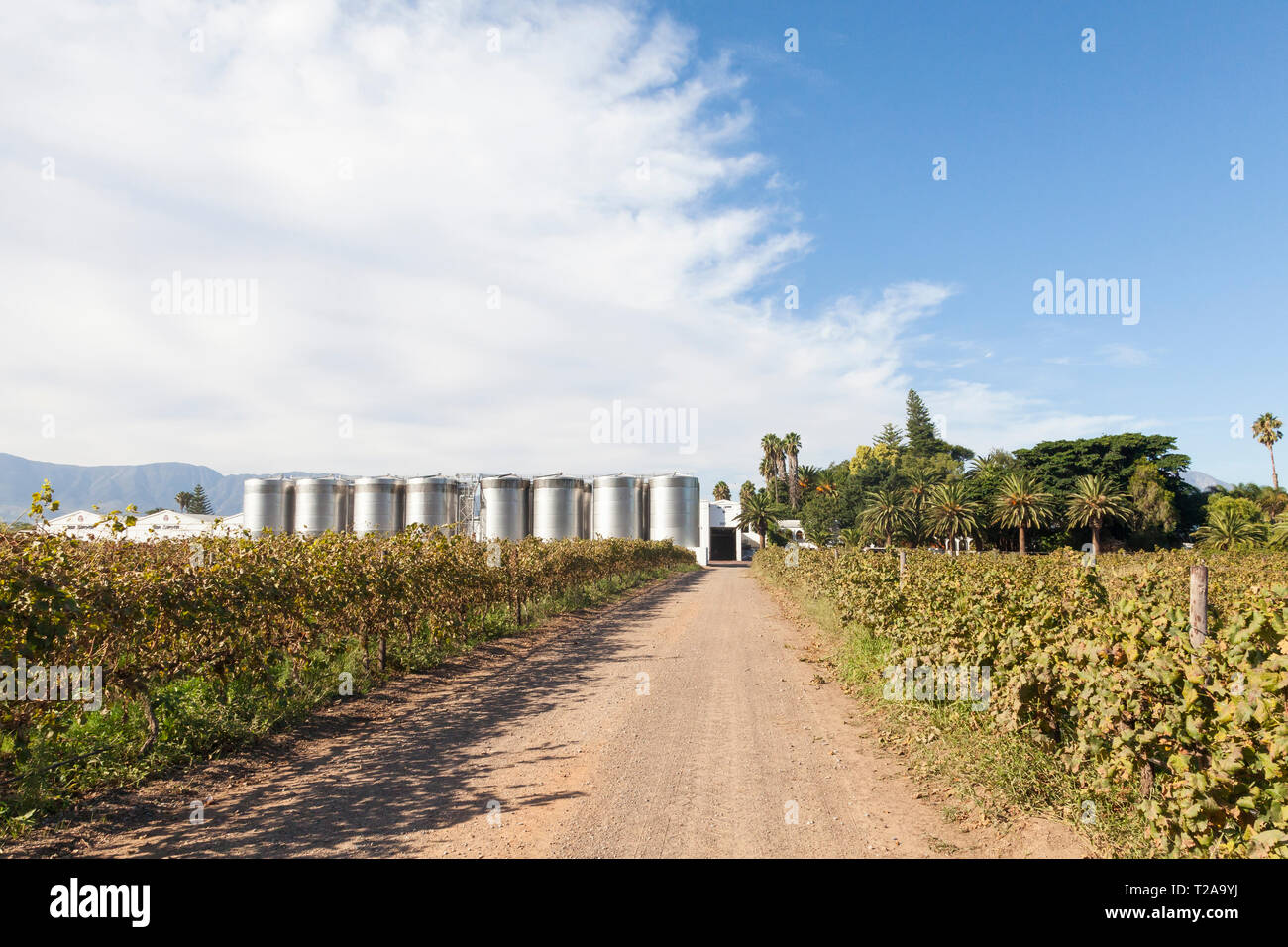 Van loveren wine estate hi-res stock photography and images - Alamy