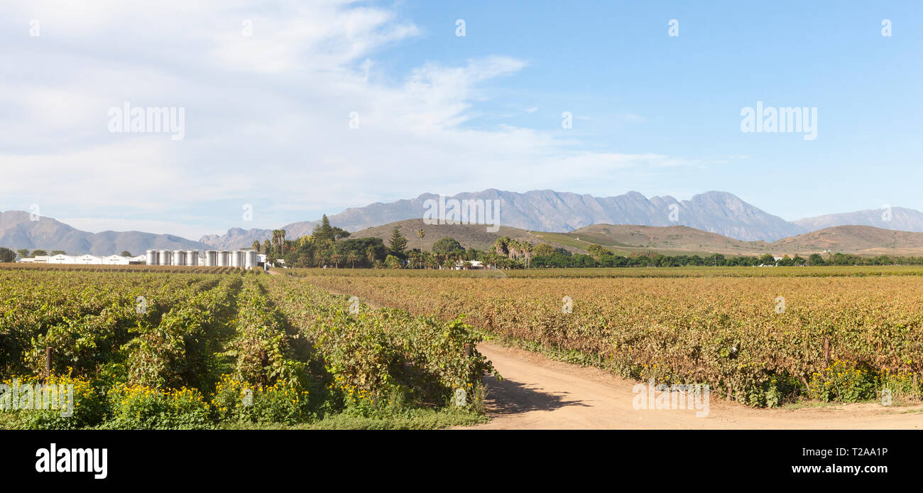 Scenic panorama of the vineyards and fermentation tanks on Van Loveren ...