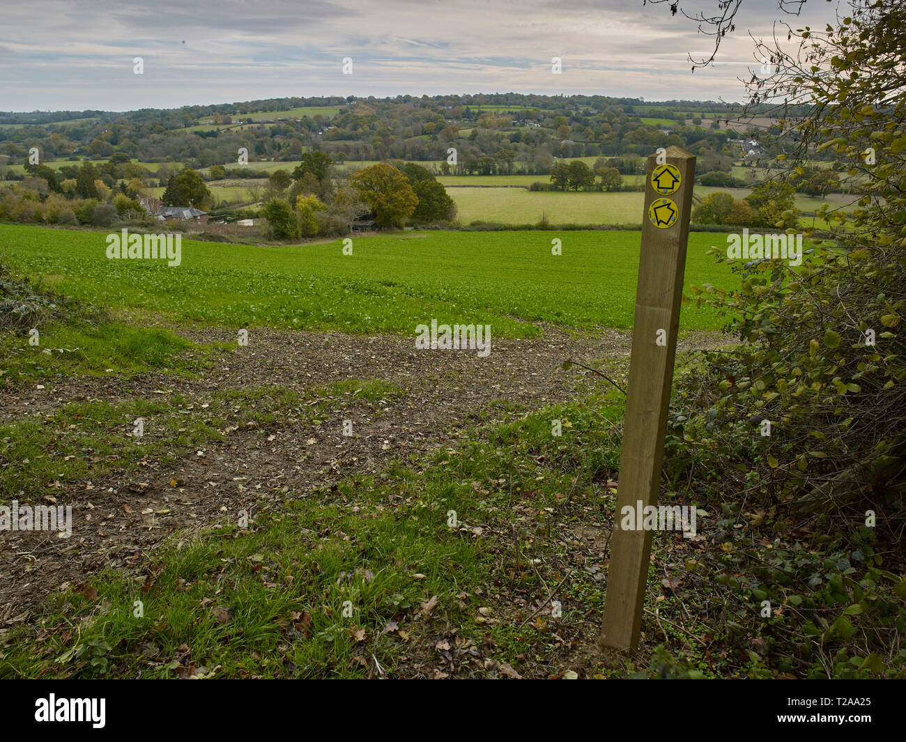 Right of way through Kent Landscape, Kent, England, United Kingdom ...