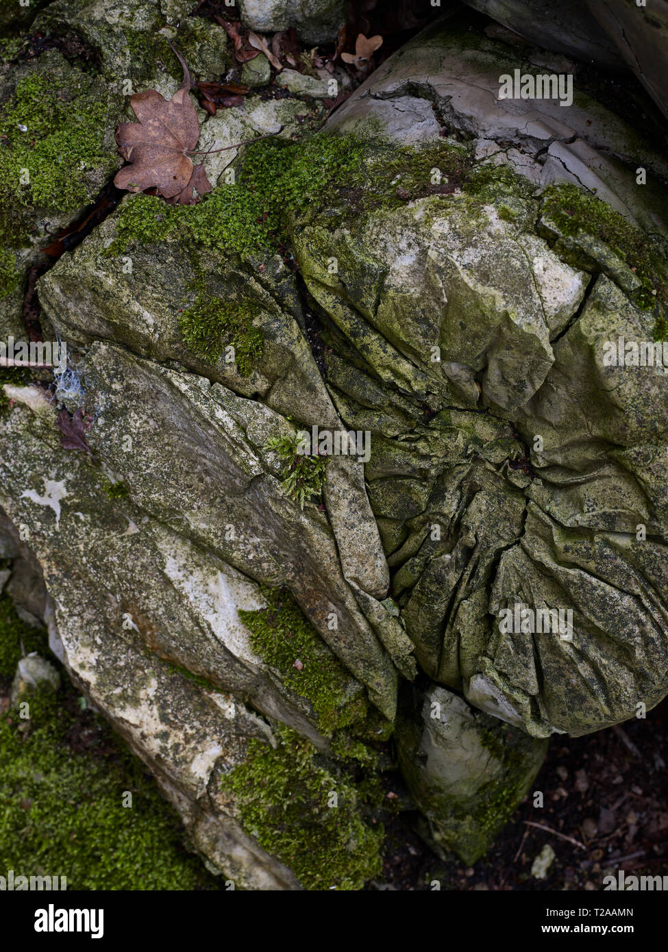 Cement shaped patterns revealing the historical use of Beacon Wood ...