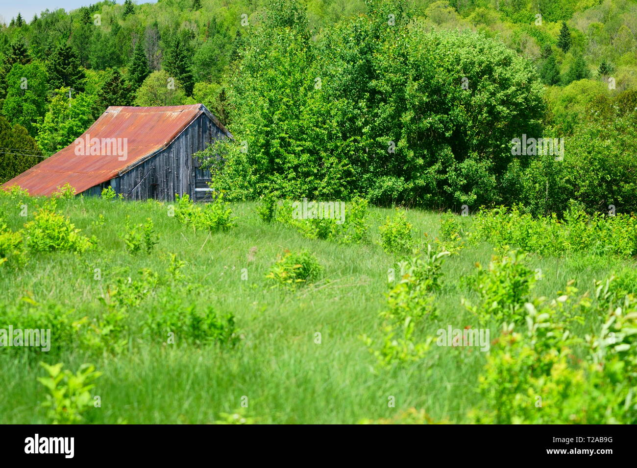 Peace environment hi-res stock photography and images - Alamy