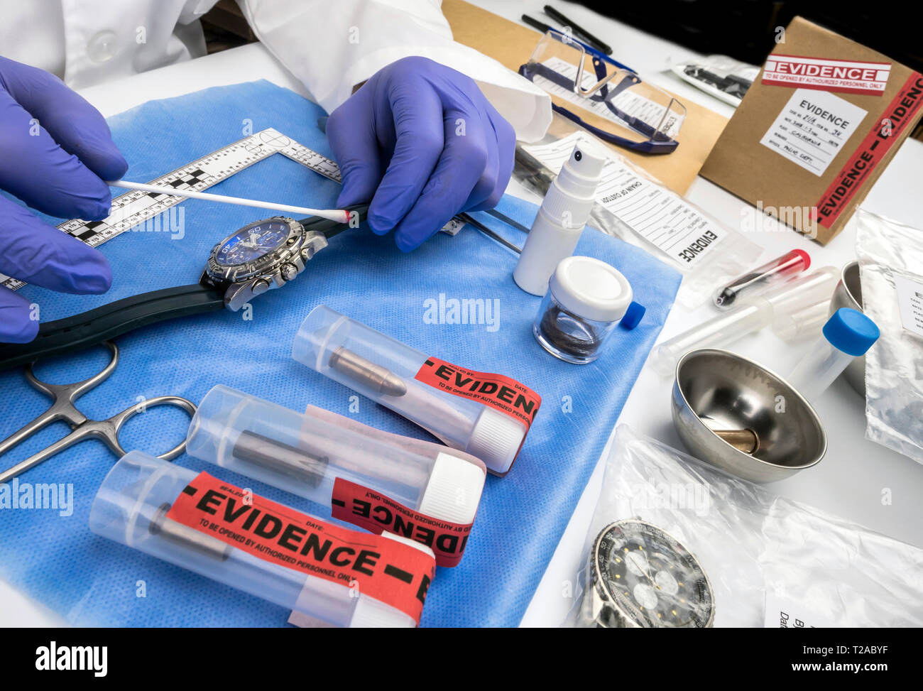 Police scientist working in Criminalistic Lab, victim clock analysis ...
