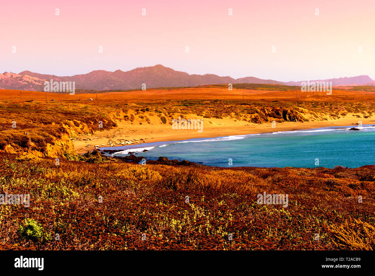 Golden beaches hi-res stock photography and images - Alamy