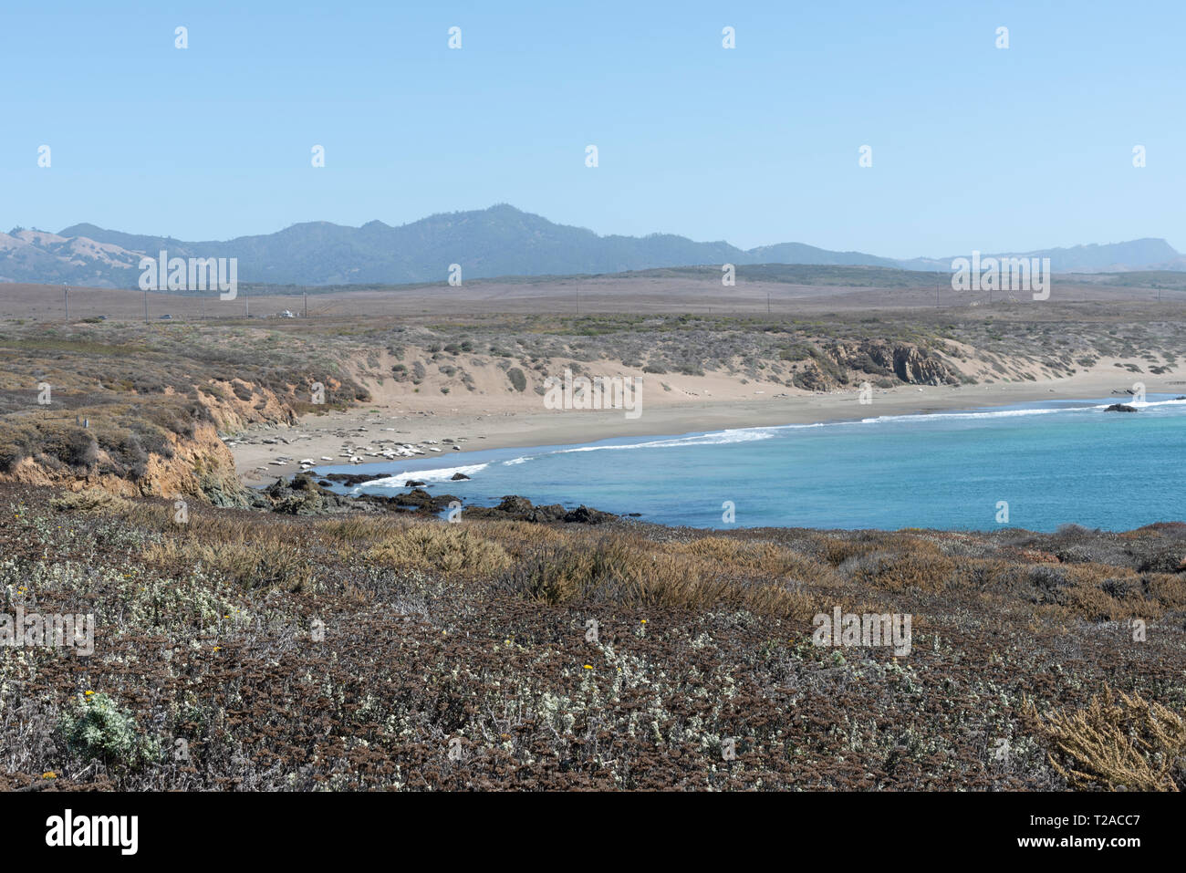 Dry fields overlooking cliffs, beach and blue ocean.bay Stock Photo - Alamy