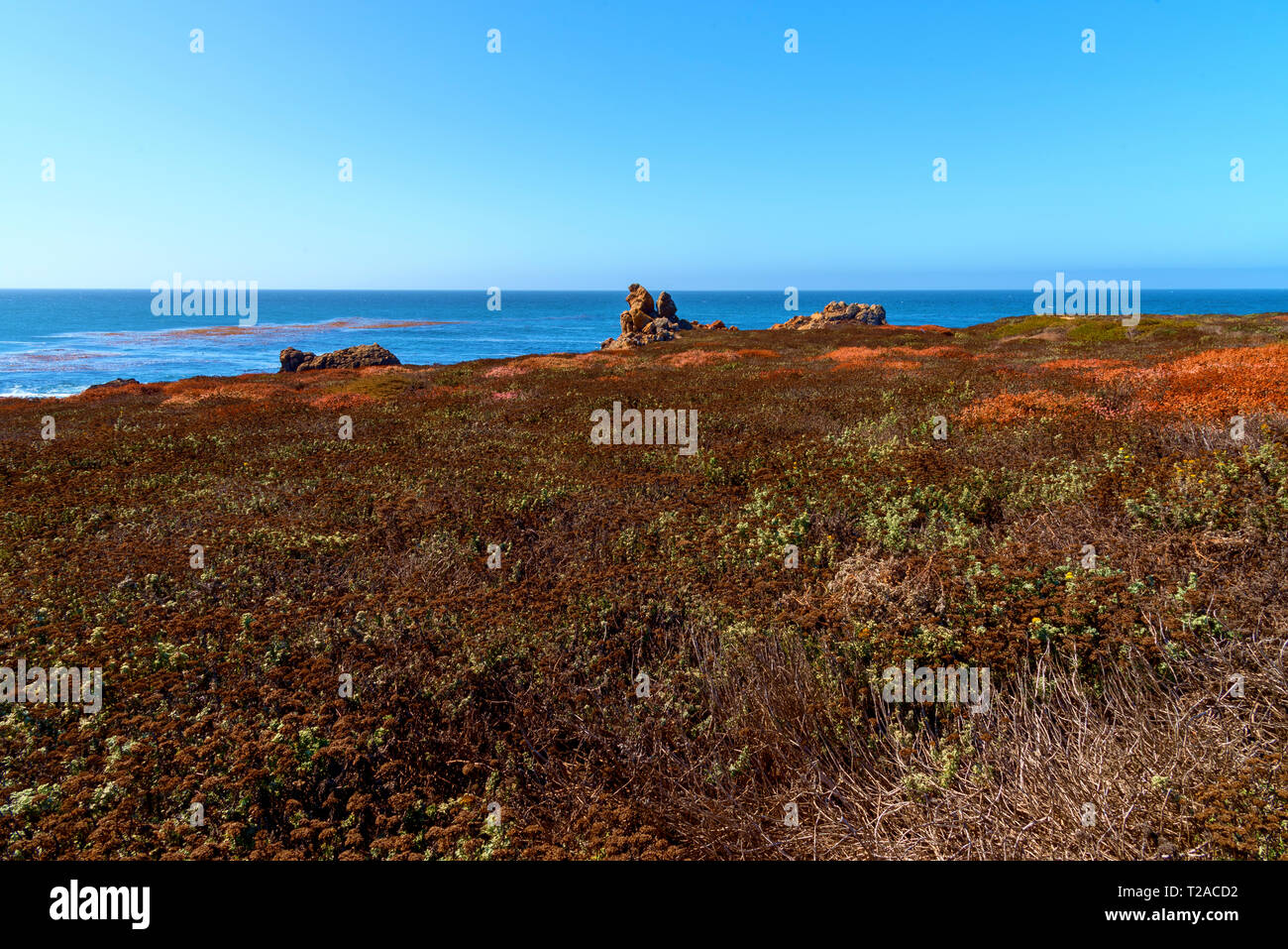 Autumn fields overlooking bright blue ocean below under bright blue sky ...