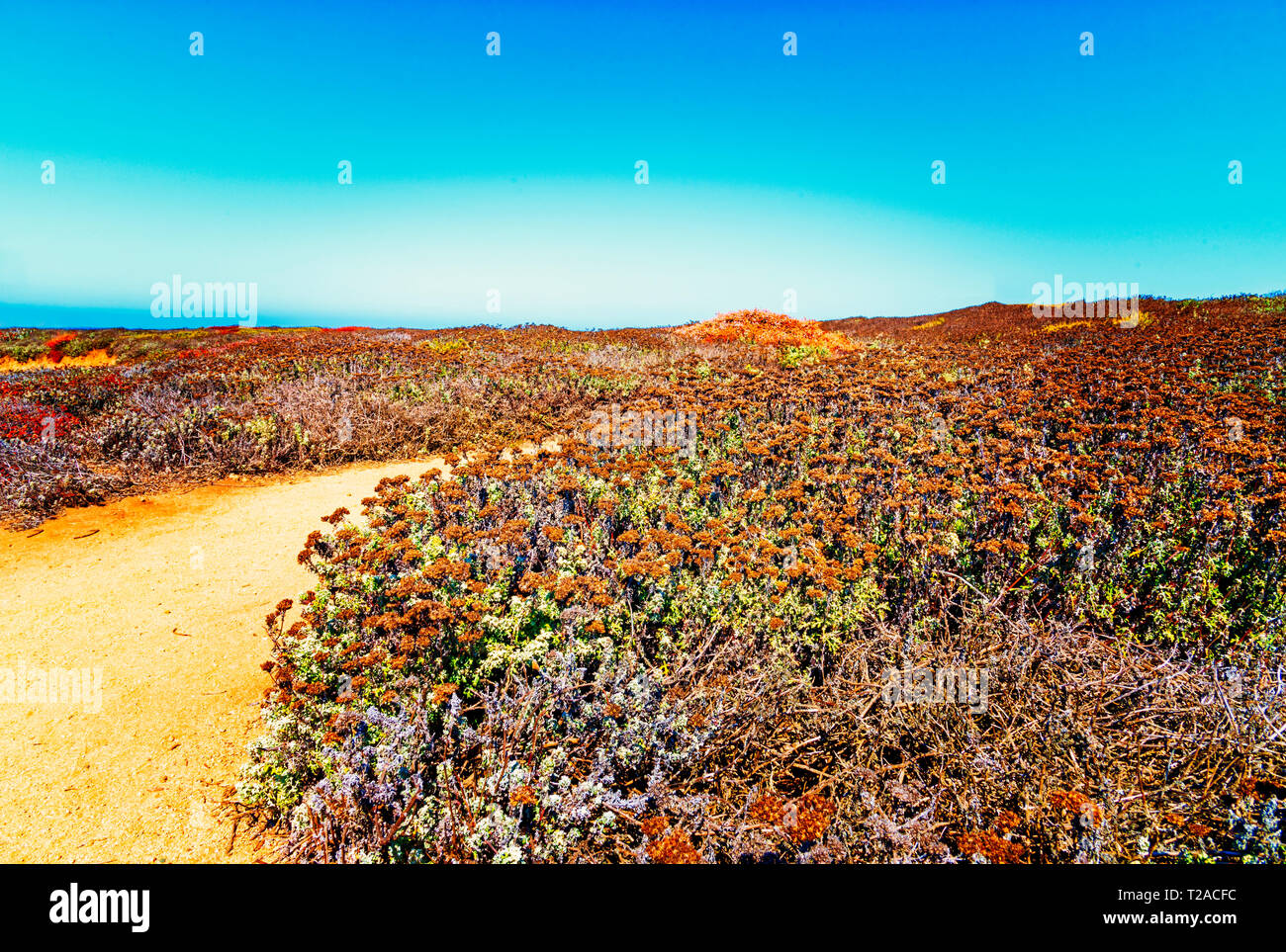 Fall fields hi-res stock photography and images - Alamy