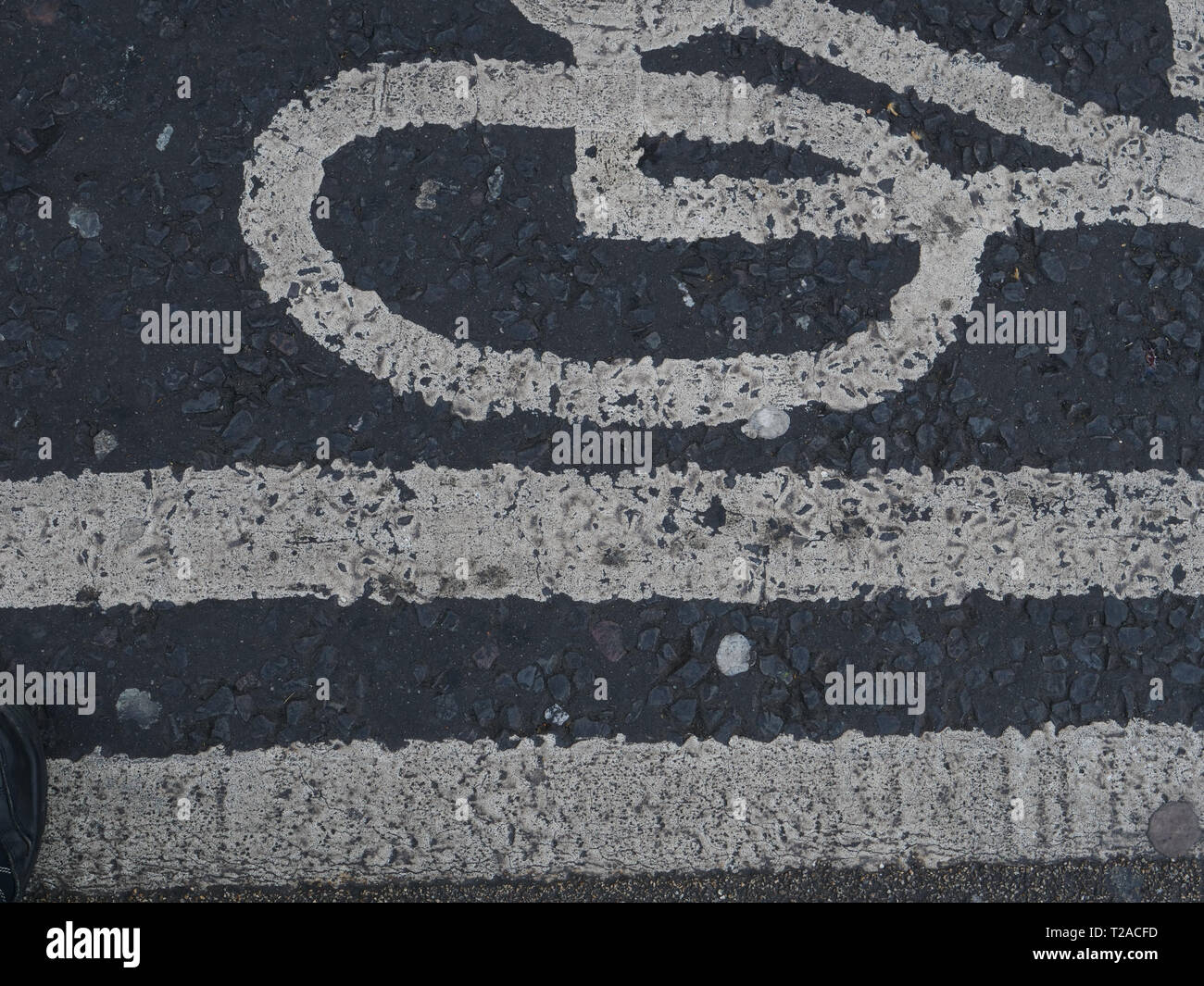 Close-up of a white sign and road markings of a cycle path on the black ...
