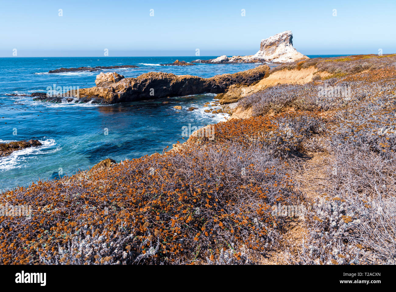 Path leading by seashore through dry fields, blue sea and waves Stock ...