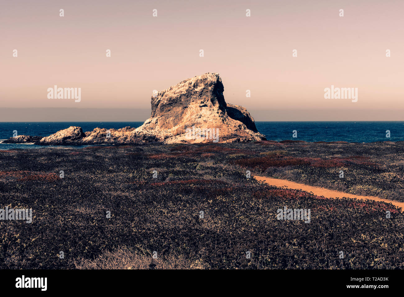 Field pathway hi-res stock photography and images - Alamy