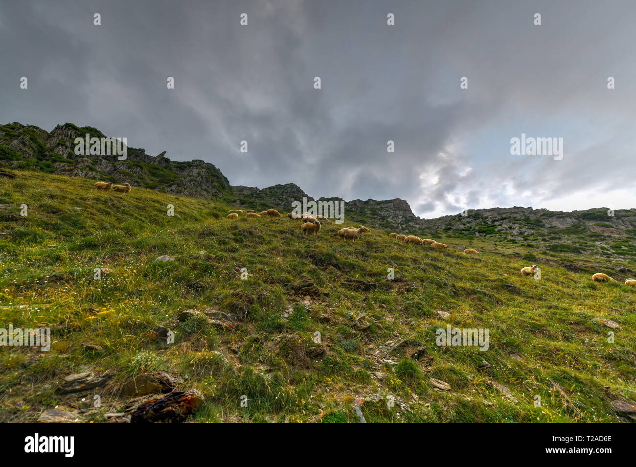 Hilly landscape near the village of Gergeti in Georgia, under Mount ...