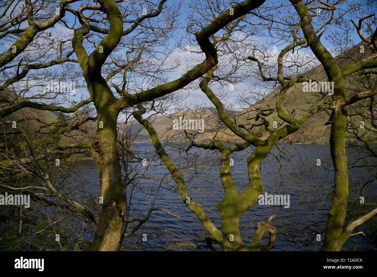 Tal y llyn lake hi-res stock photography and images - Alamy
