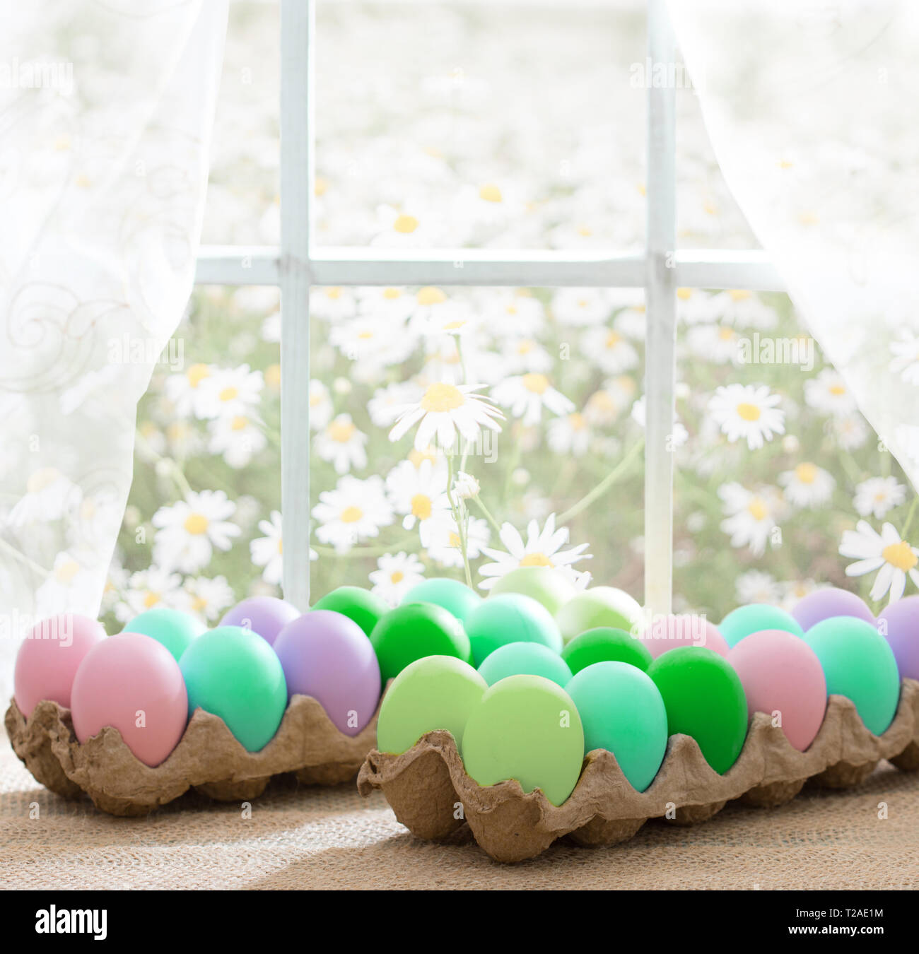 Easter countryside theme: colorful eggs in an egg crate on the window ...