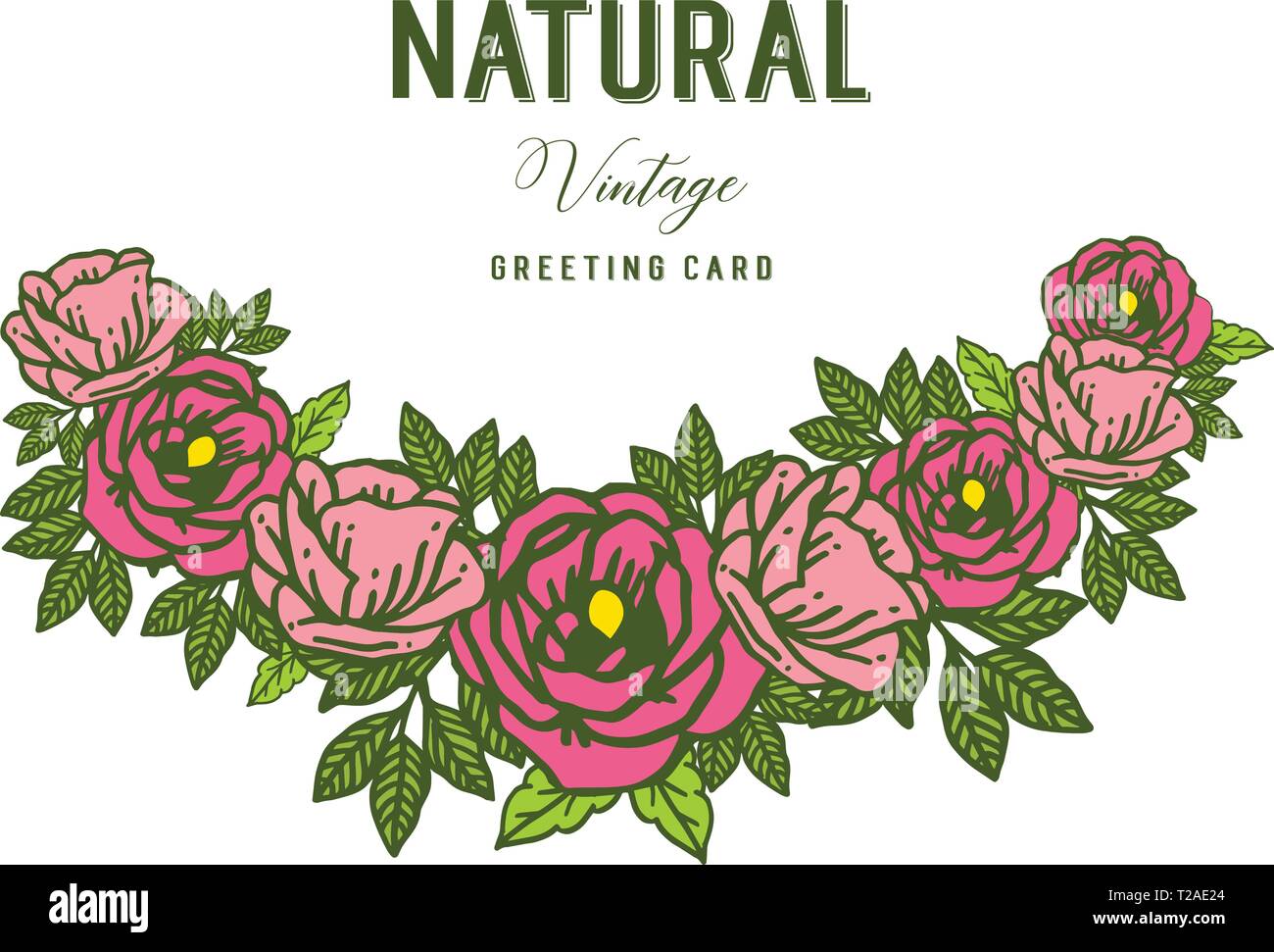 Vector illustration natural vintage with rose flower frame hand drawn ...