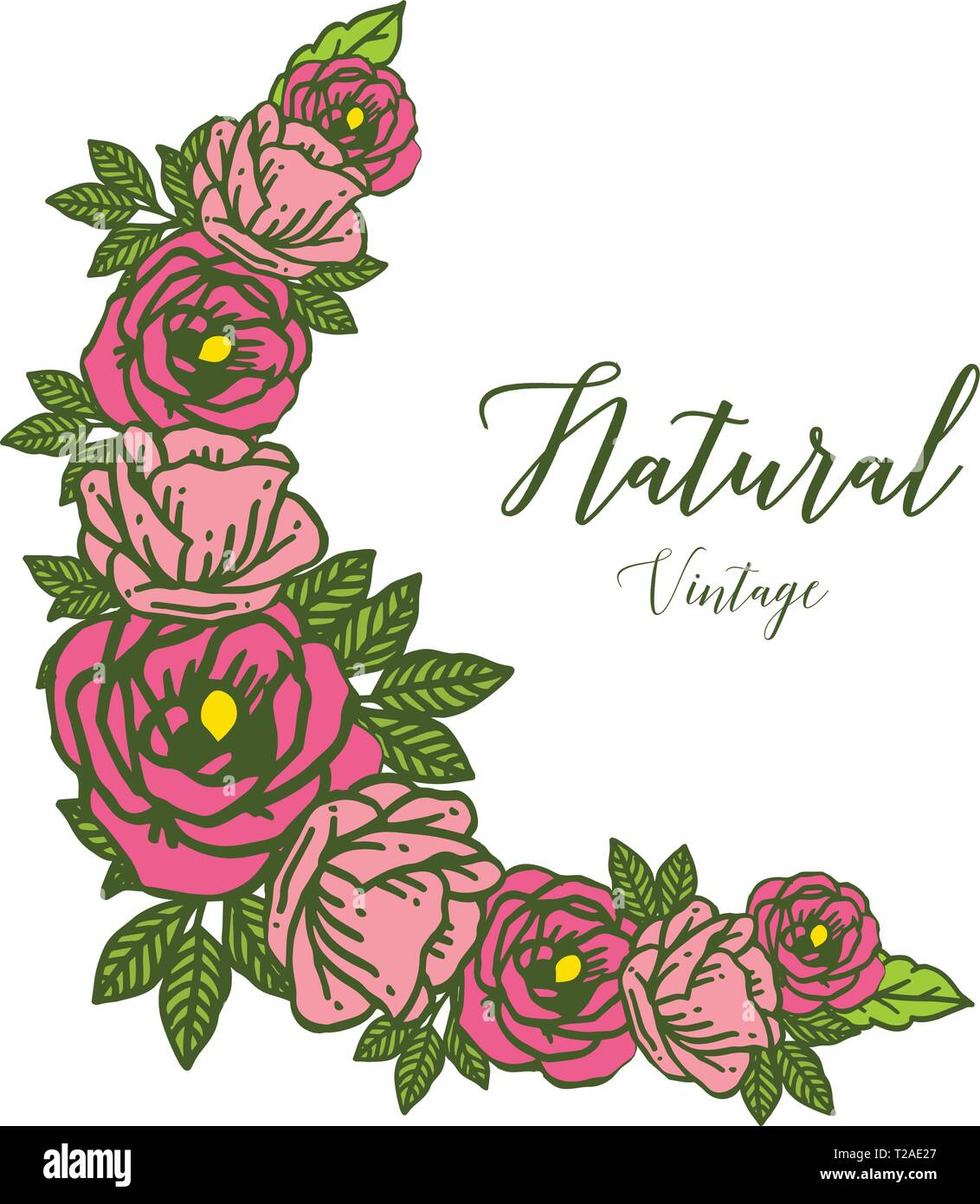 Vector illustration natural vintage with rose flower frame hand drawn ...
