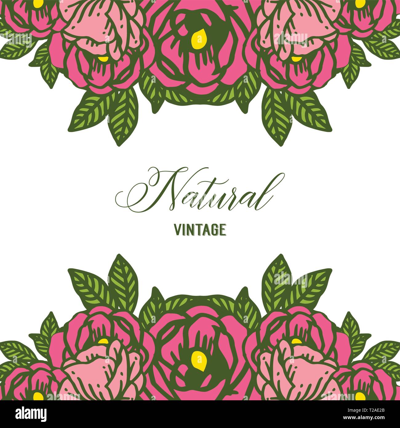 Vector illustration natural vintage with rose flower frame hand drawn ...
