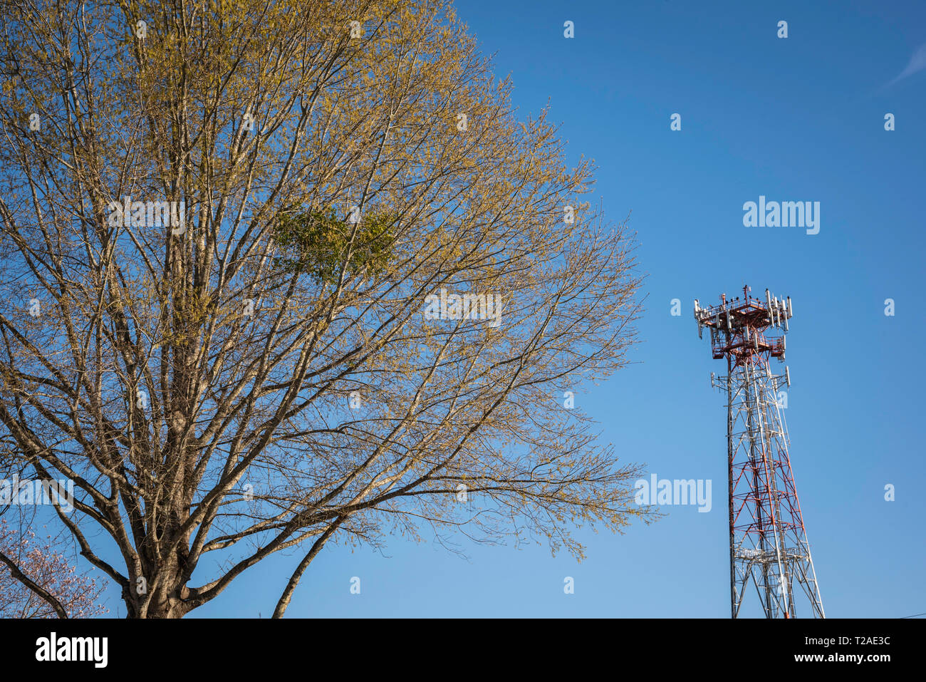 Triangular support structure hi-res stock photography and images - Alamy