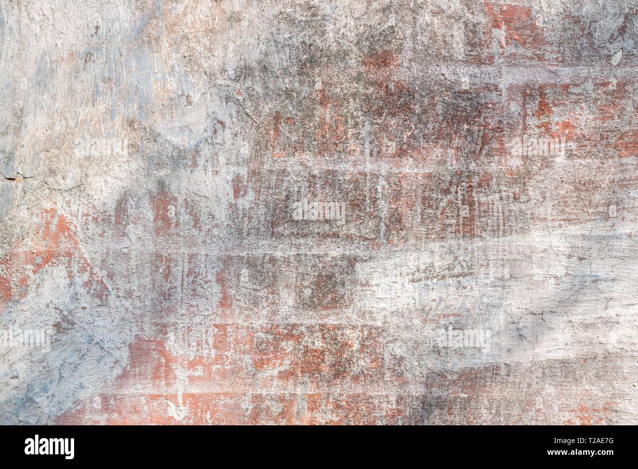 Wall Texture Paint Sample