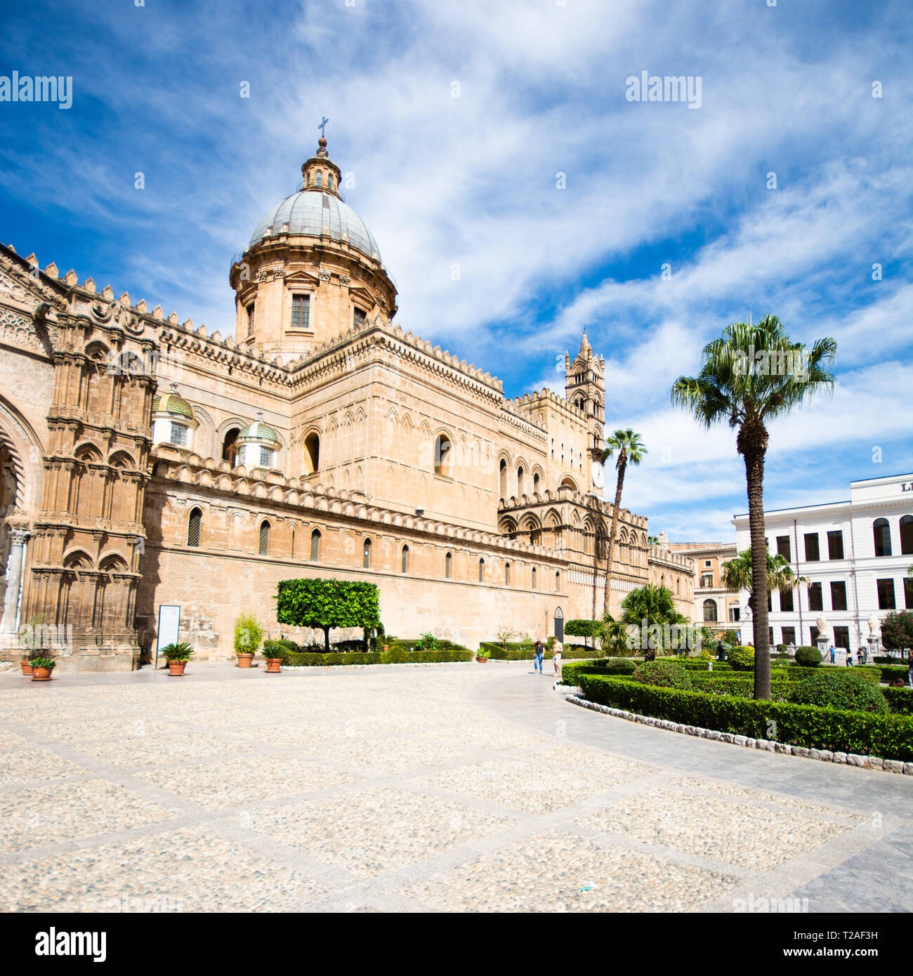 Cattedrale di Palermo , Palermo catherdal Sicily Stock Photo - Alamy