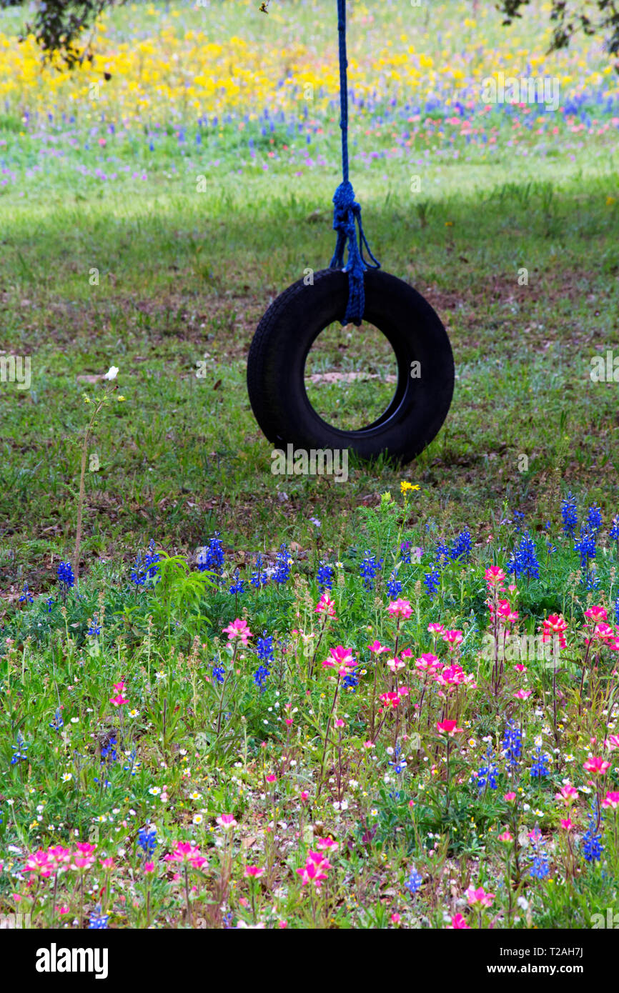Tire Swing in Texas Hill Country in Colorful Spring Bloom Stock Photo ...