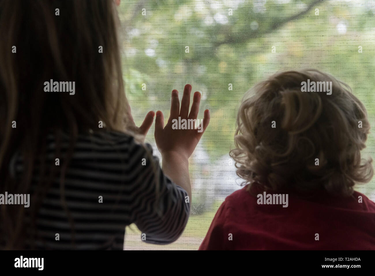 Rear view of children looking out window Stock Photo - Alamy