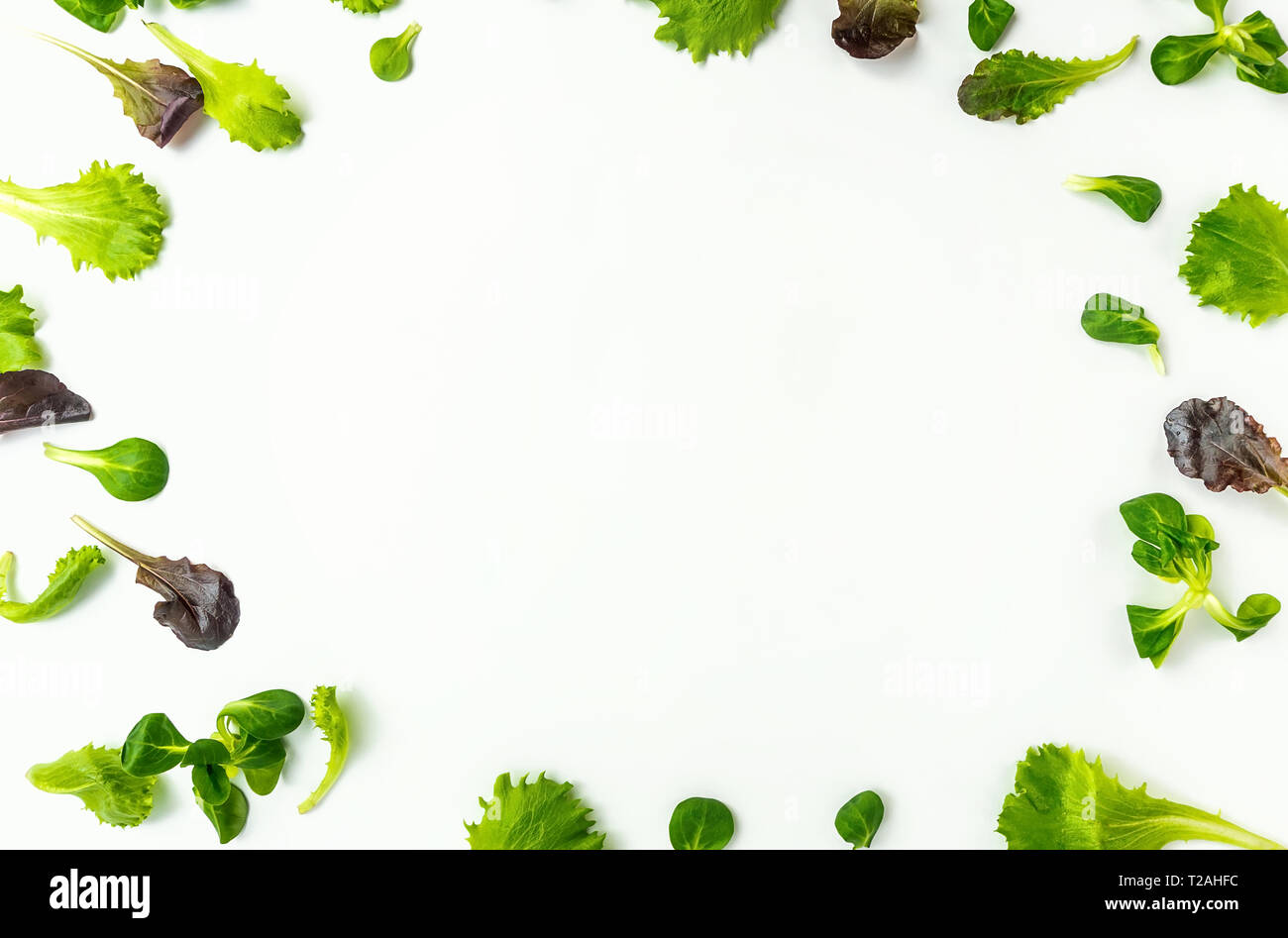 Salad border hi-res stock photography and images - Alamy