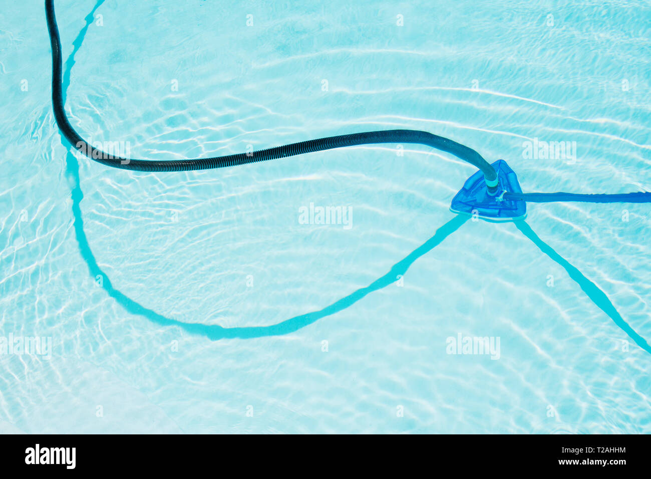 Pool vacuum in swimming pool Stock Photo - Alamy