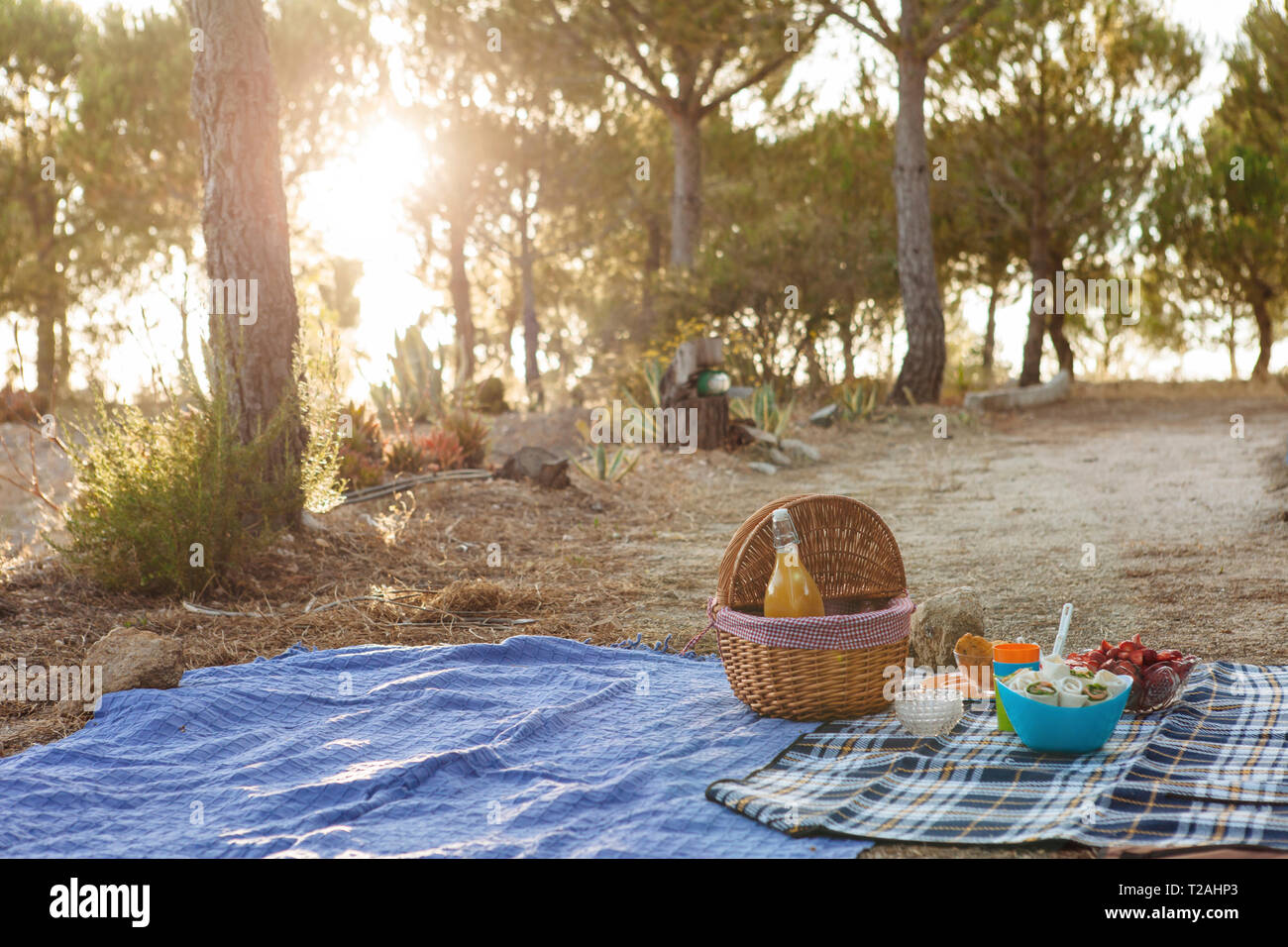 Picnic foreground hi-res stock photography and images - Alamy