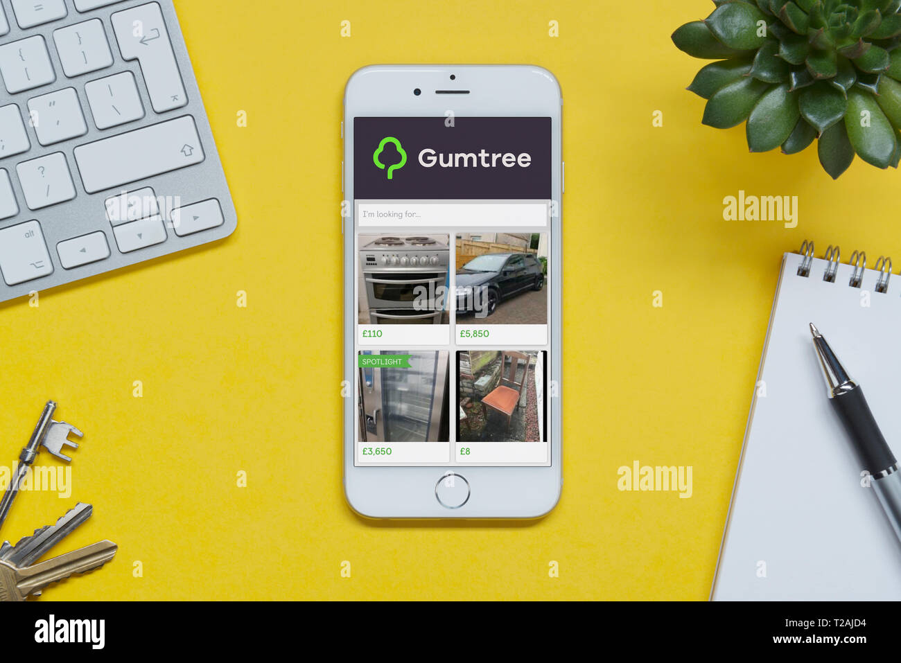 Gumtree background hi-res stock photography and images - Alamy
