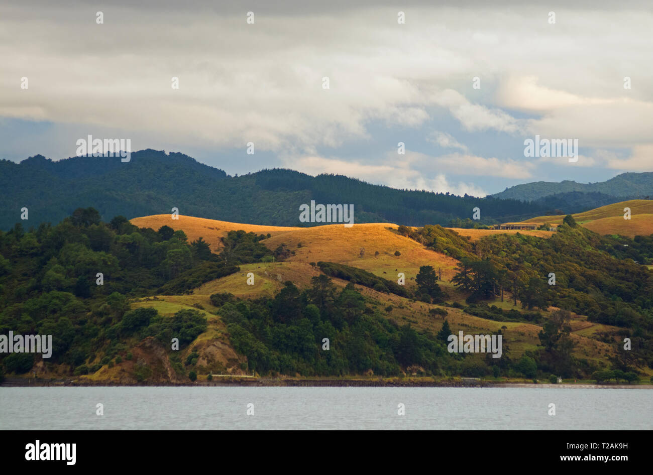 Coromandel ranges hi-res stock photography and images - Alamy