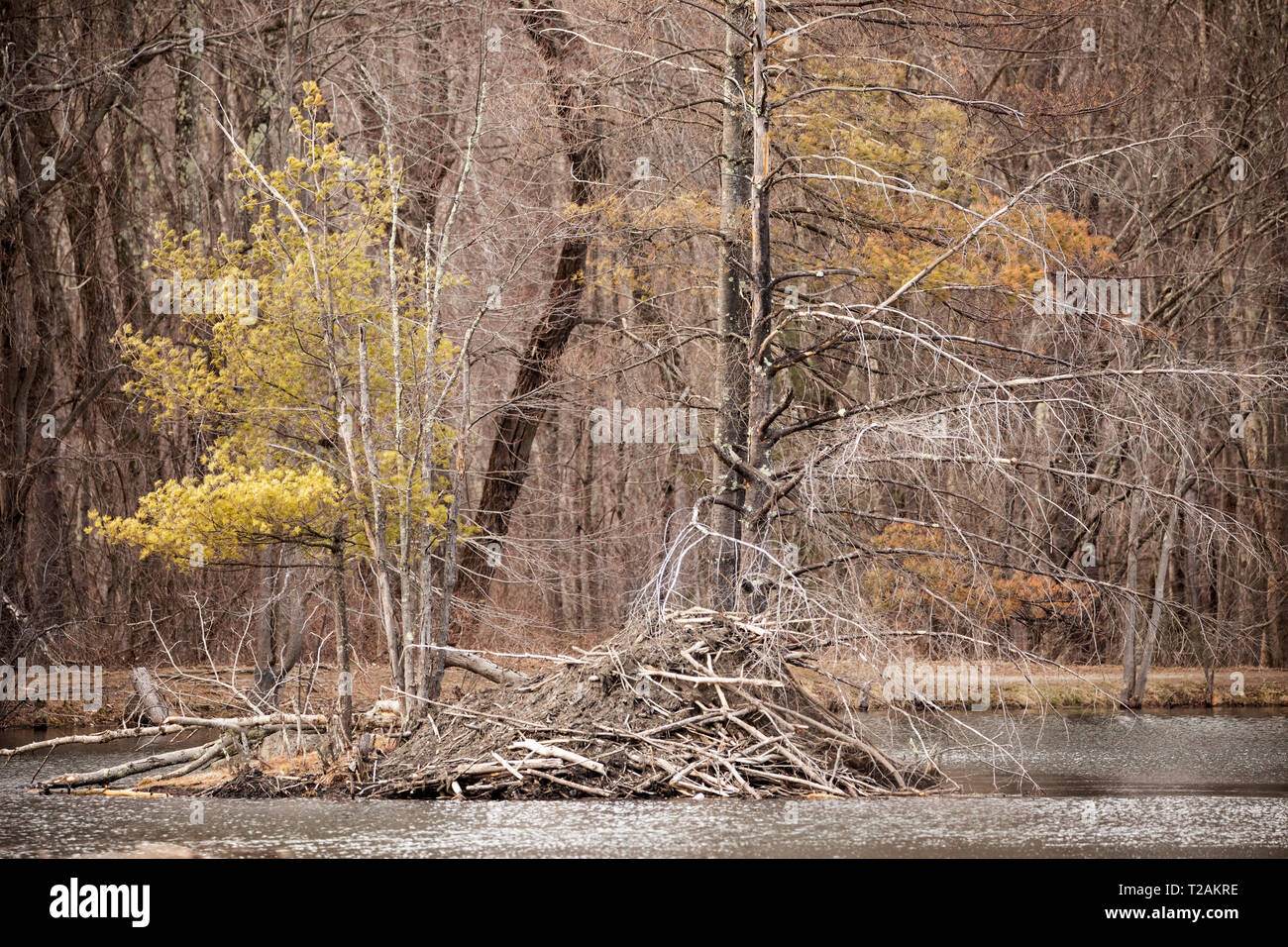 Bowers springs hi-res stock photography and images - Alamy