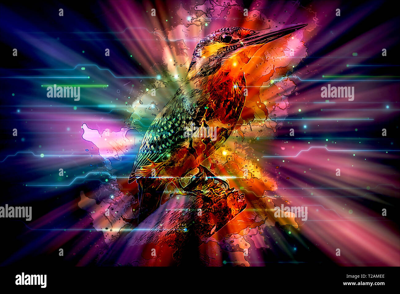 Abstract artistic multicolored glowing bird in an awesome visualization ...