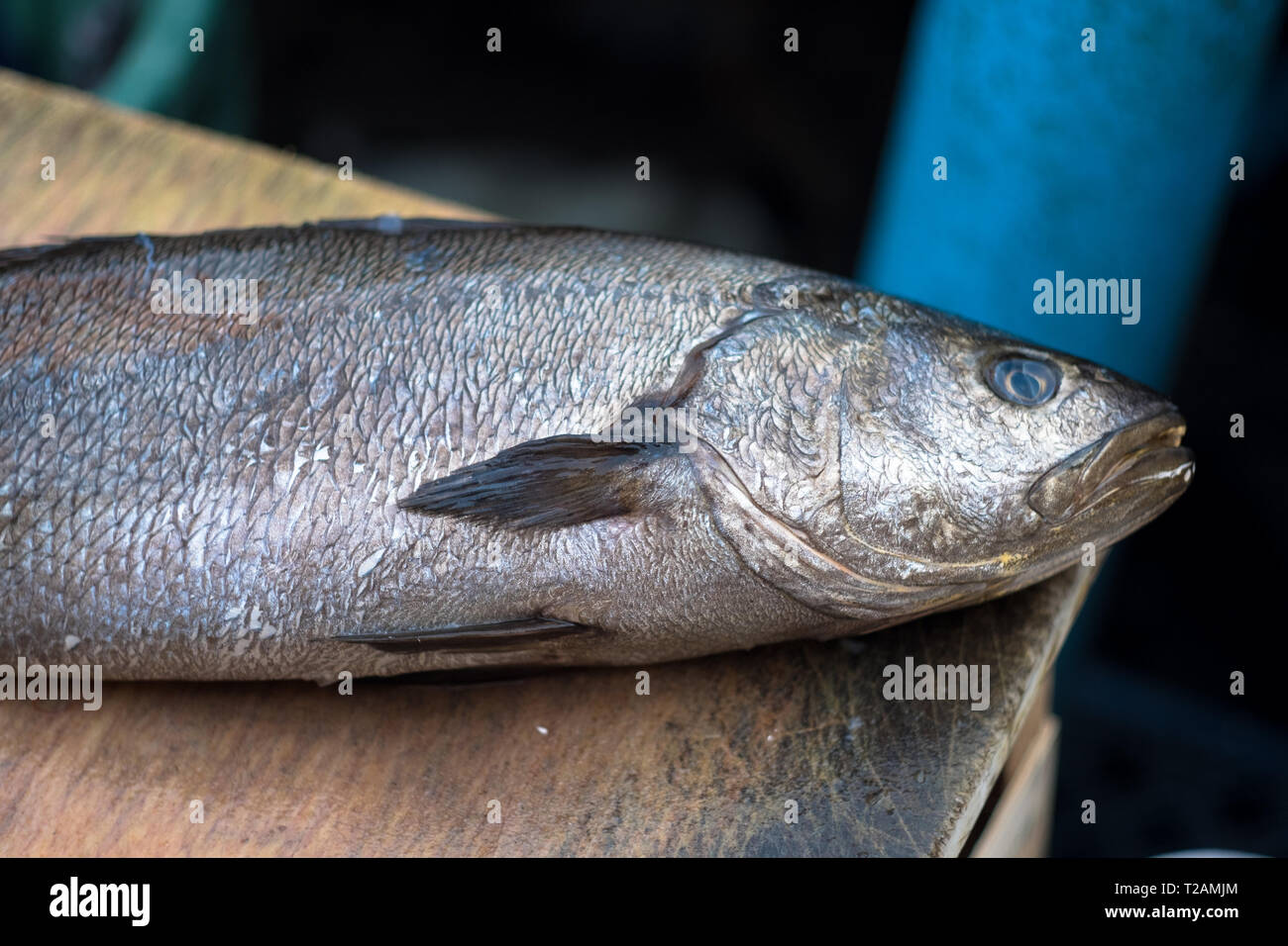 Mediterranean fish exposed in open market in Napoli Stock Photo - Alamy